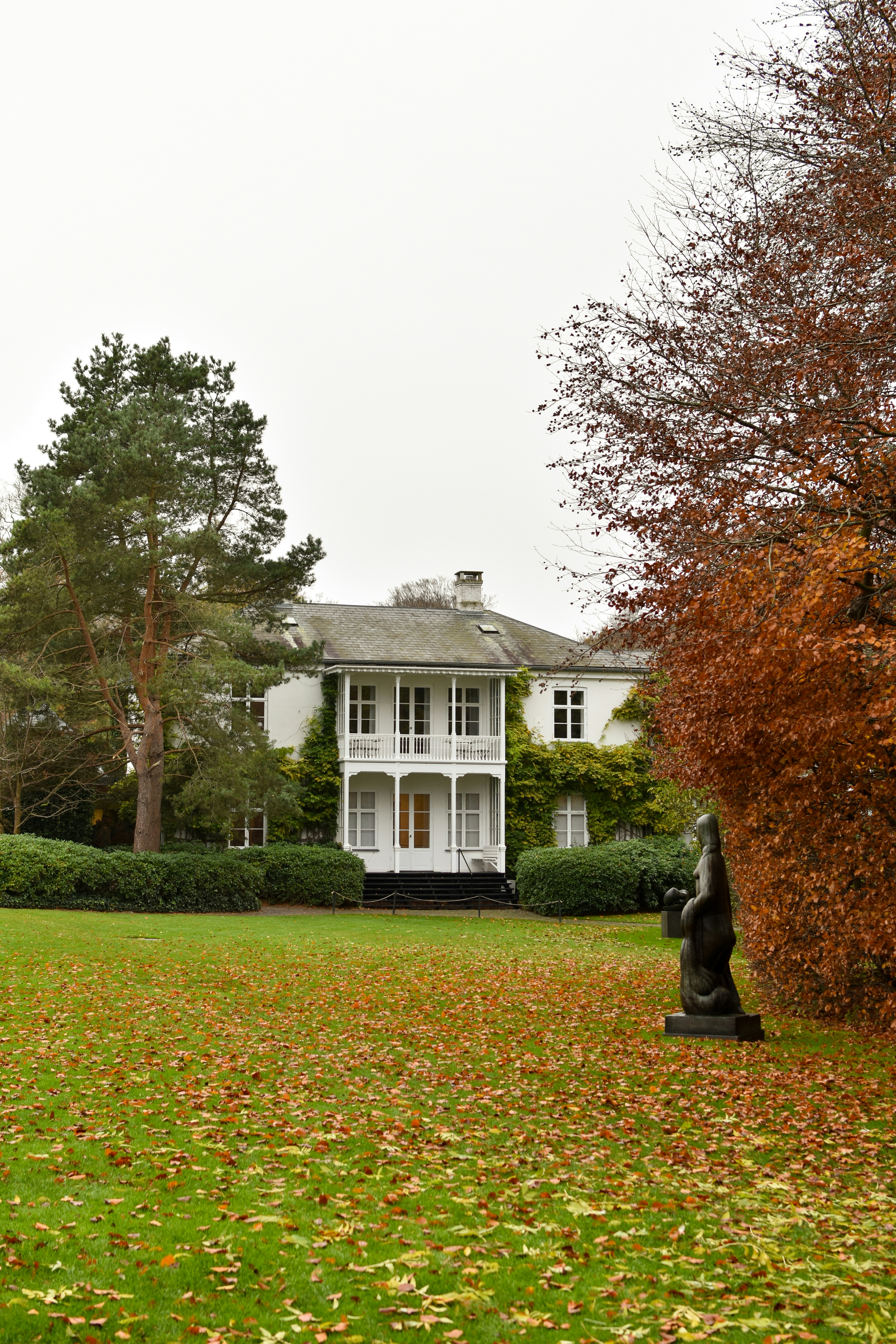 Photo by Mircea Solomiea with Nikon D3400