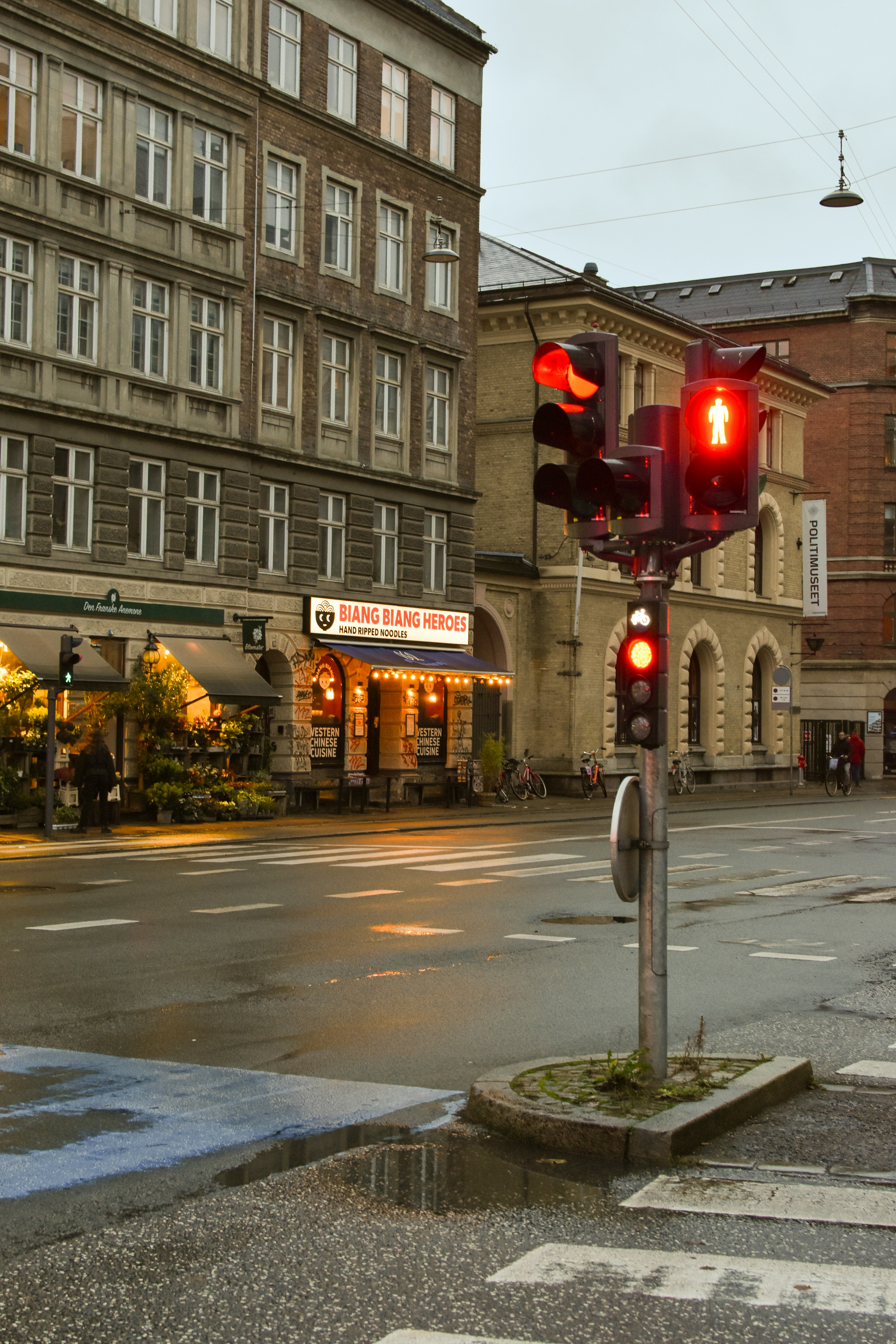 Photo by Mircea Solomiea with Nikon D3400