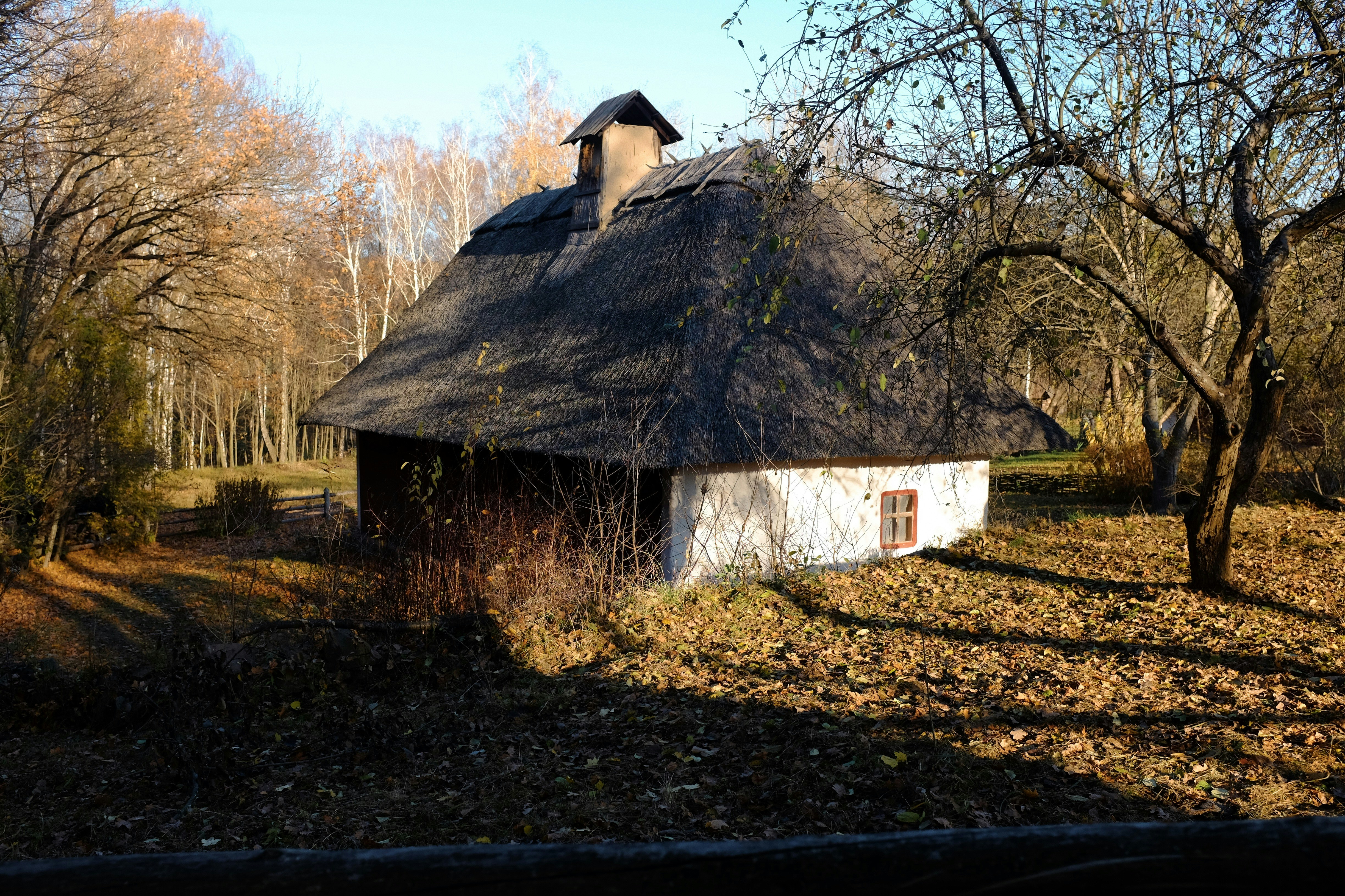 Foto Sebuah gudang tua dengan atap jerami di ladang – Gambar Kampung ...