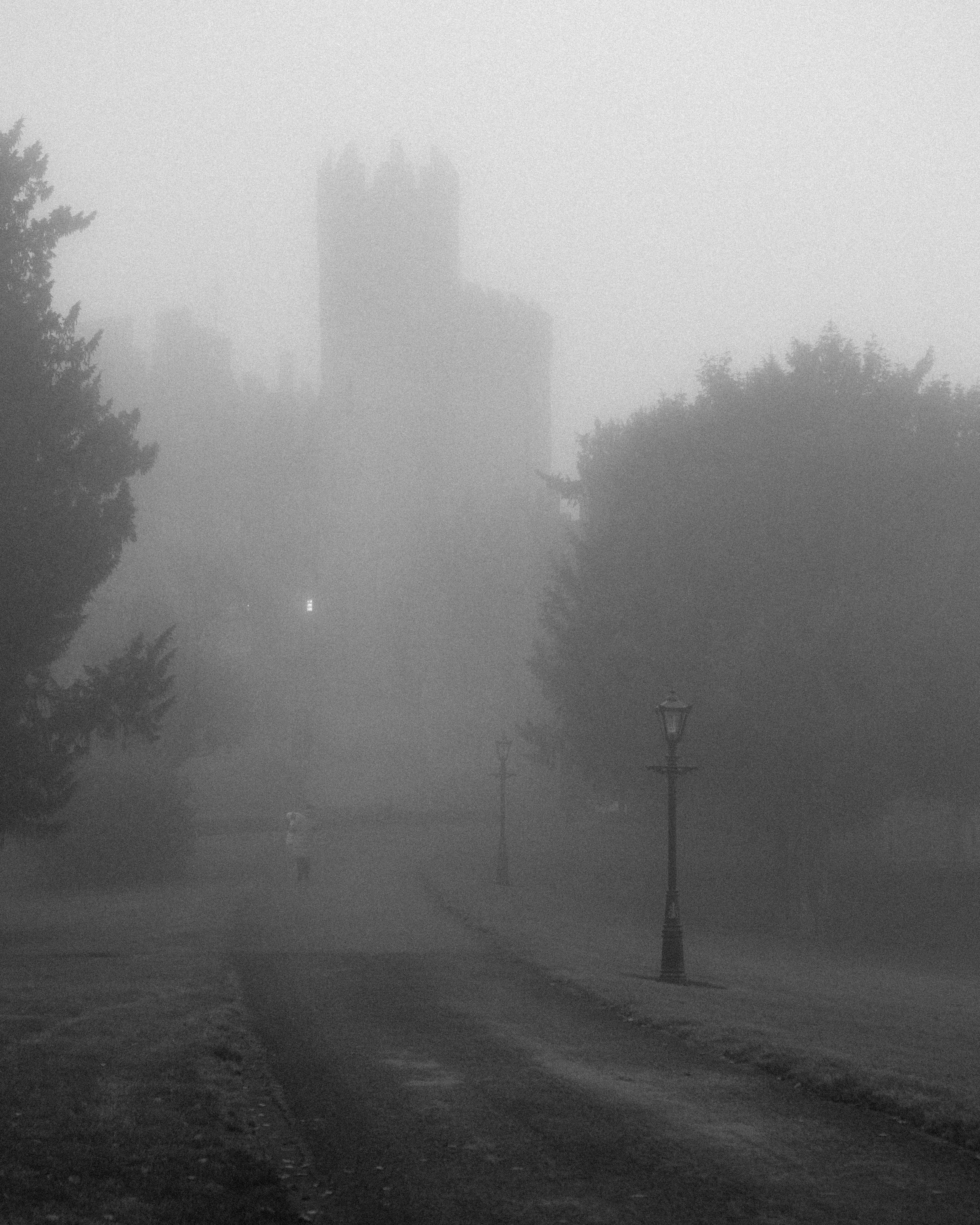 Veiled Fortress at the Edge of Fog: A Quiet Walk Toward the Distant Keep