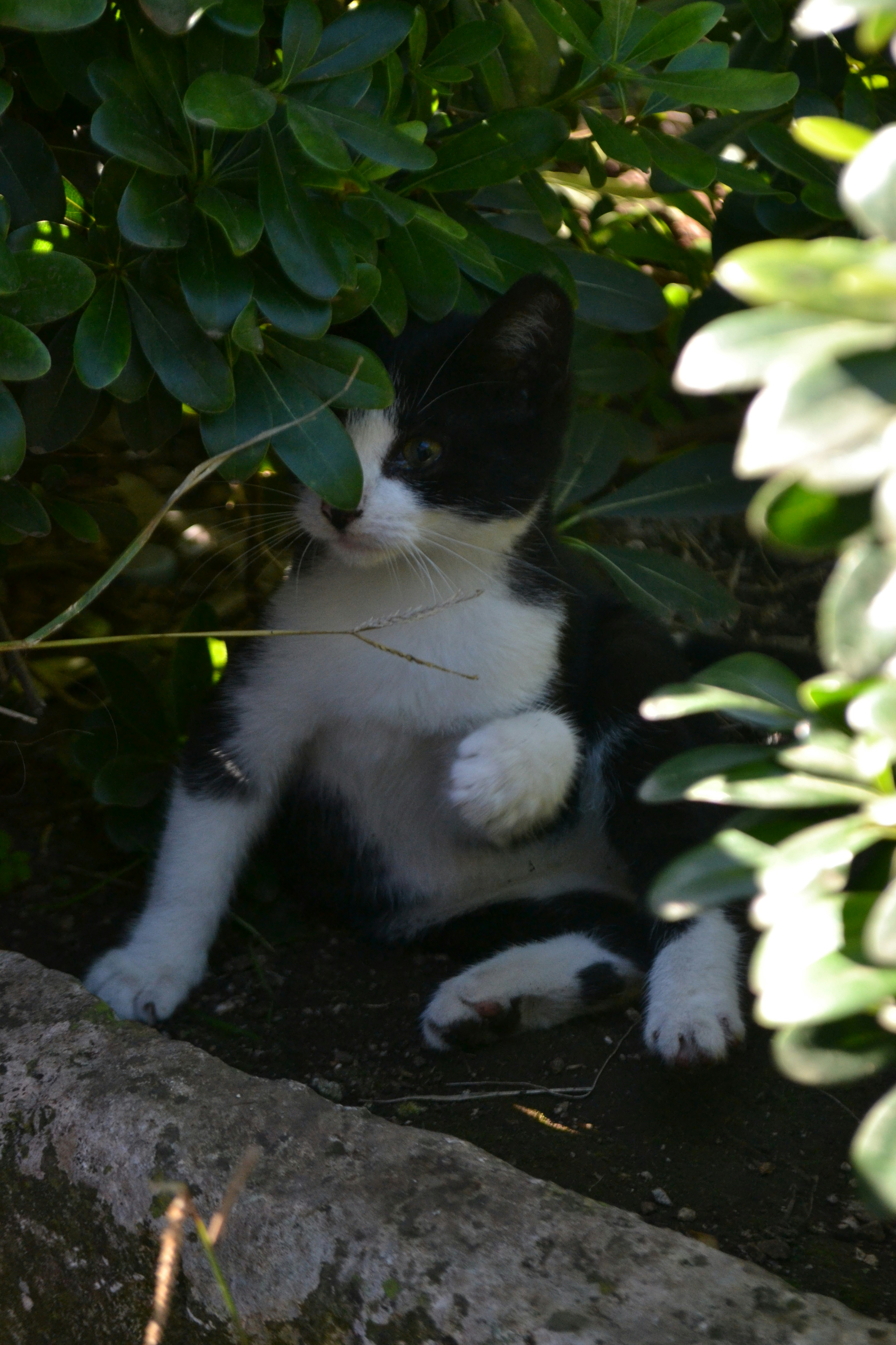 Photo by liliia with Nikon D3100