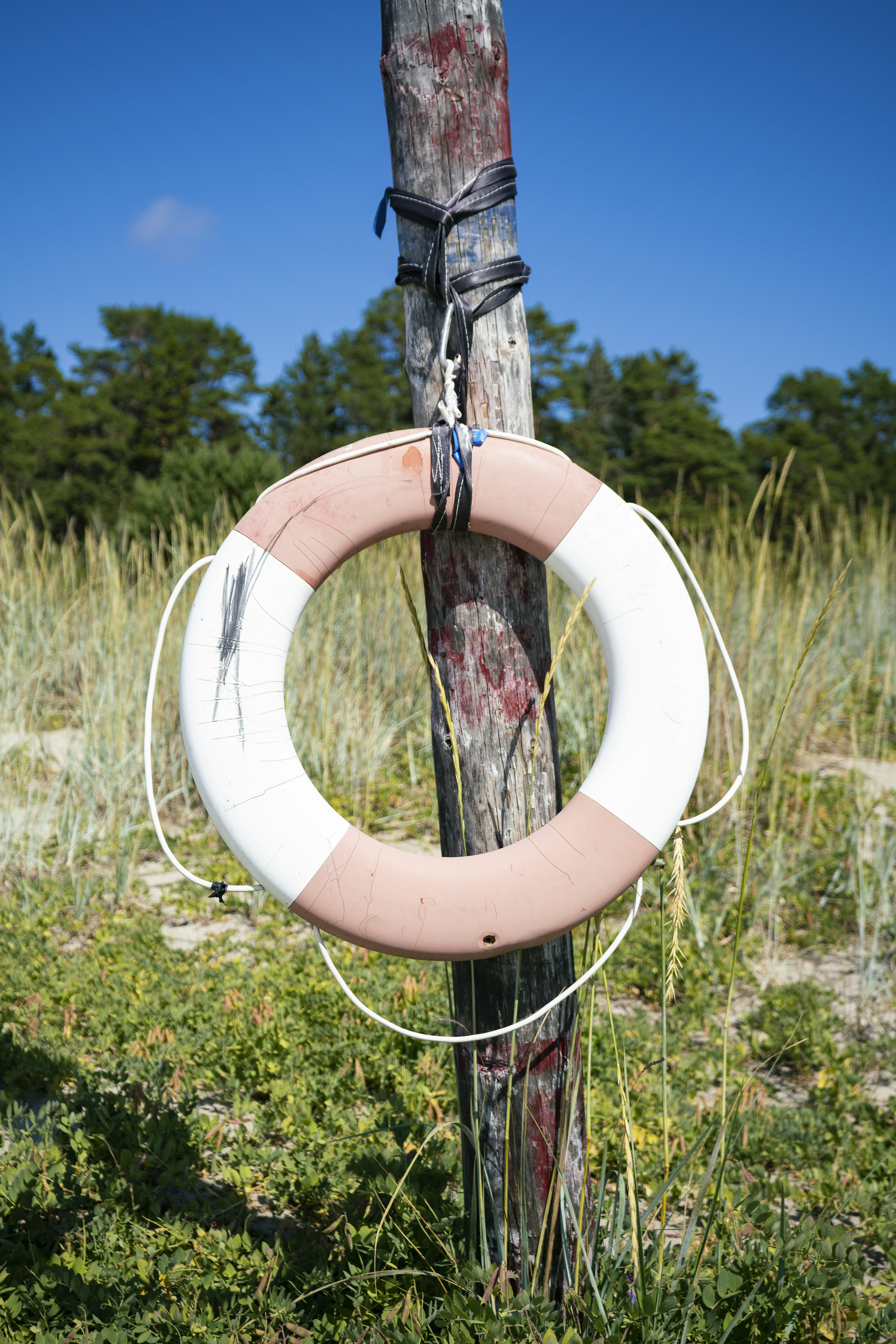 Life Ring on a Weathered Post: Coastal Calm Amid Tall Grass