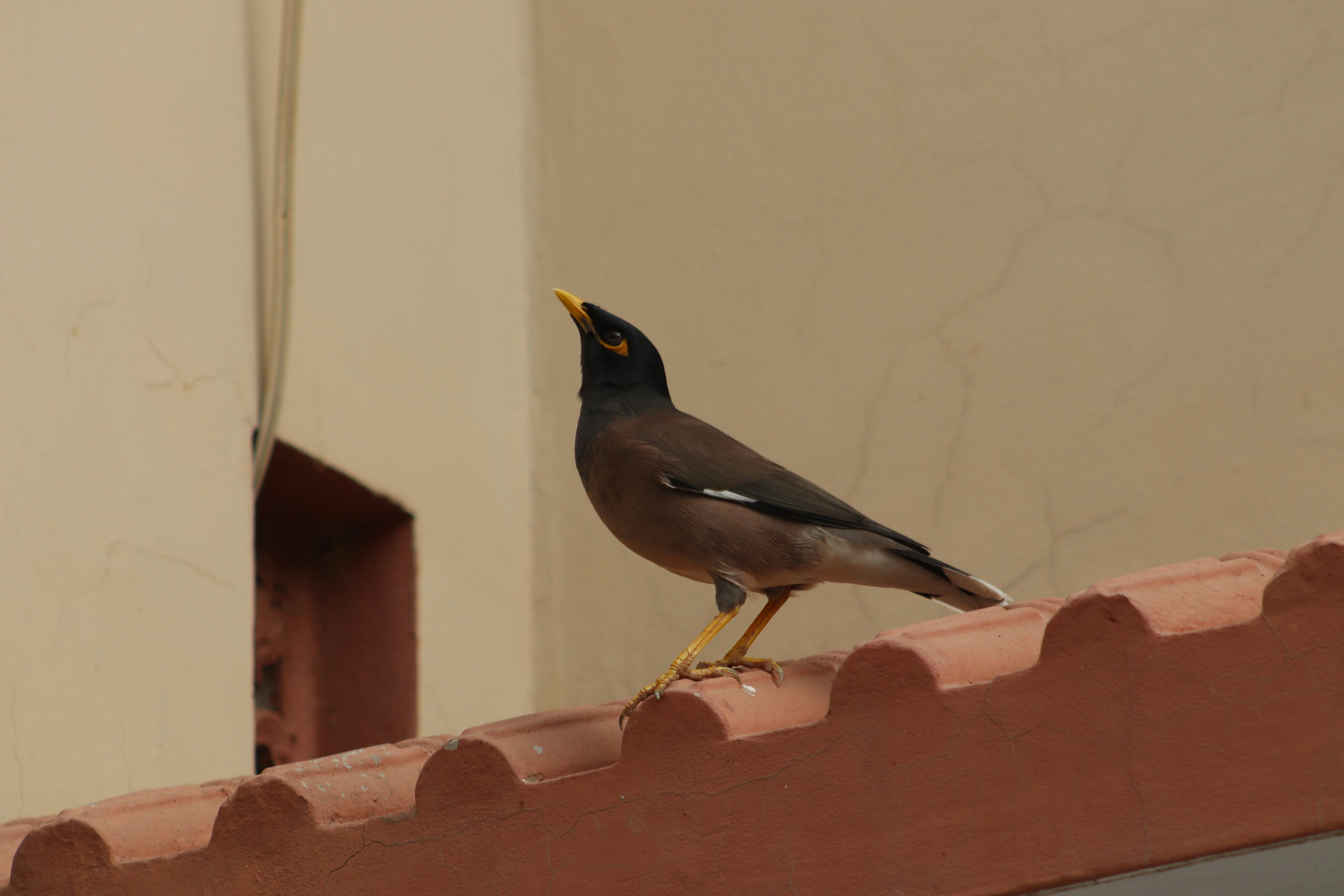 Photo by Anees Ur Rehman with Canon EOS 250D