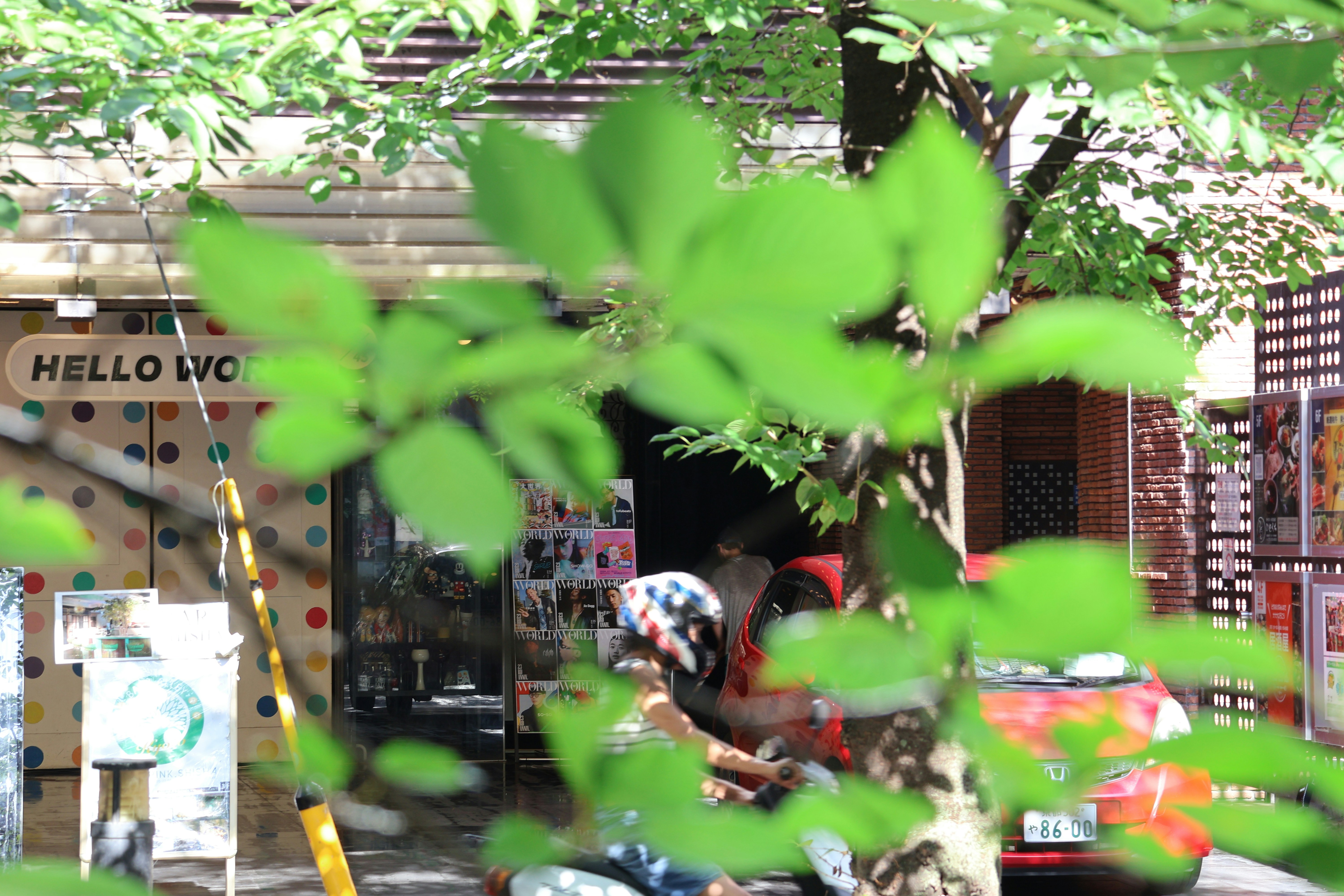 Hidden Figure at a Tree-Framed Street Shopfront