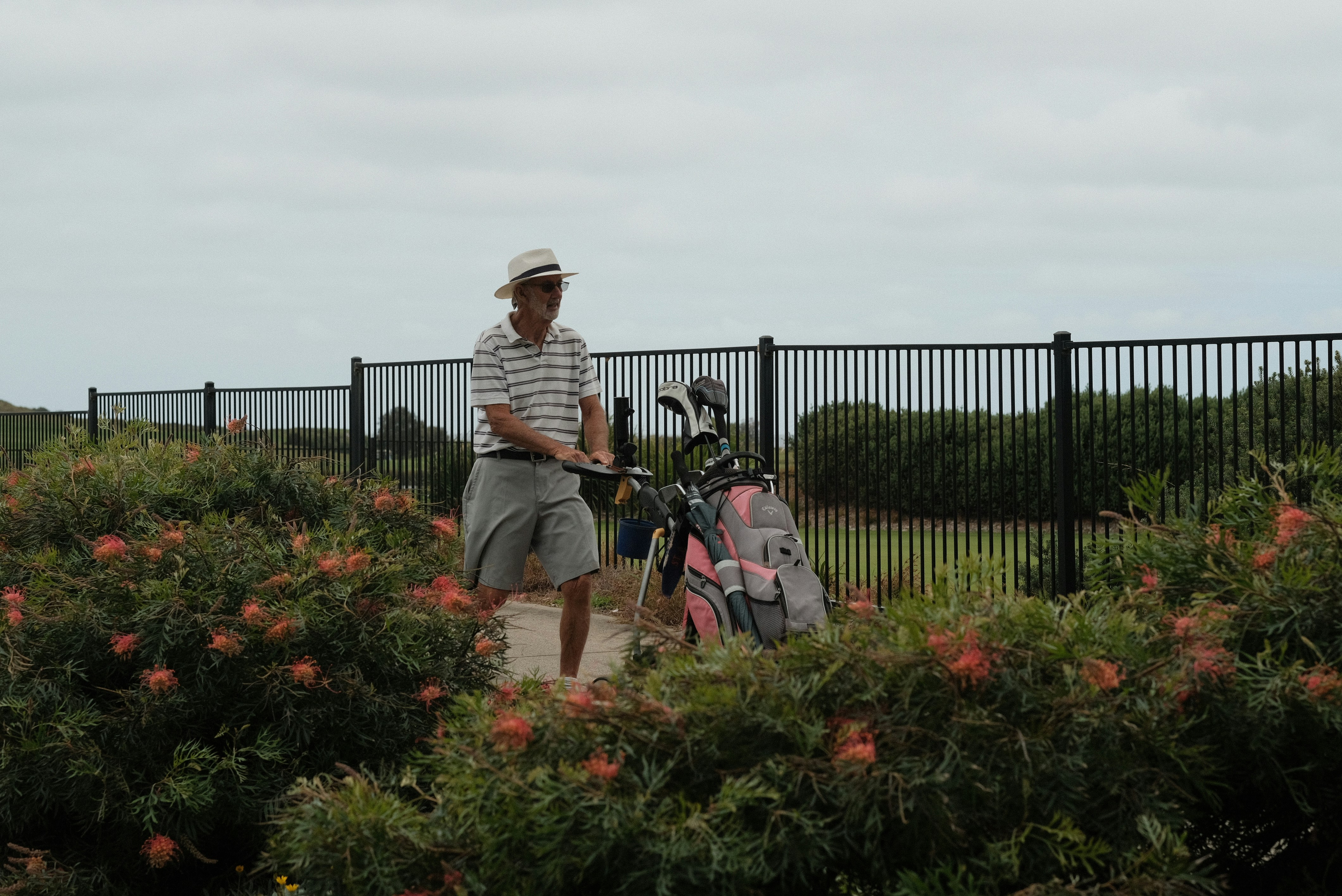 Parkside Pause: A Golfer Checks His Clubs Beside a Pink-Flower Border.