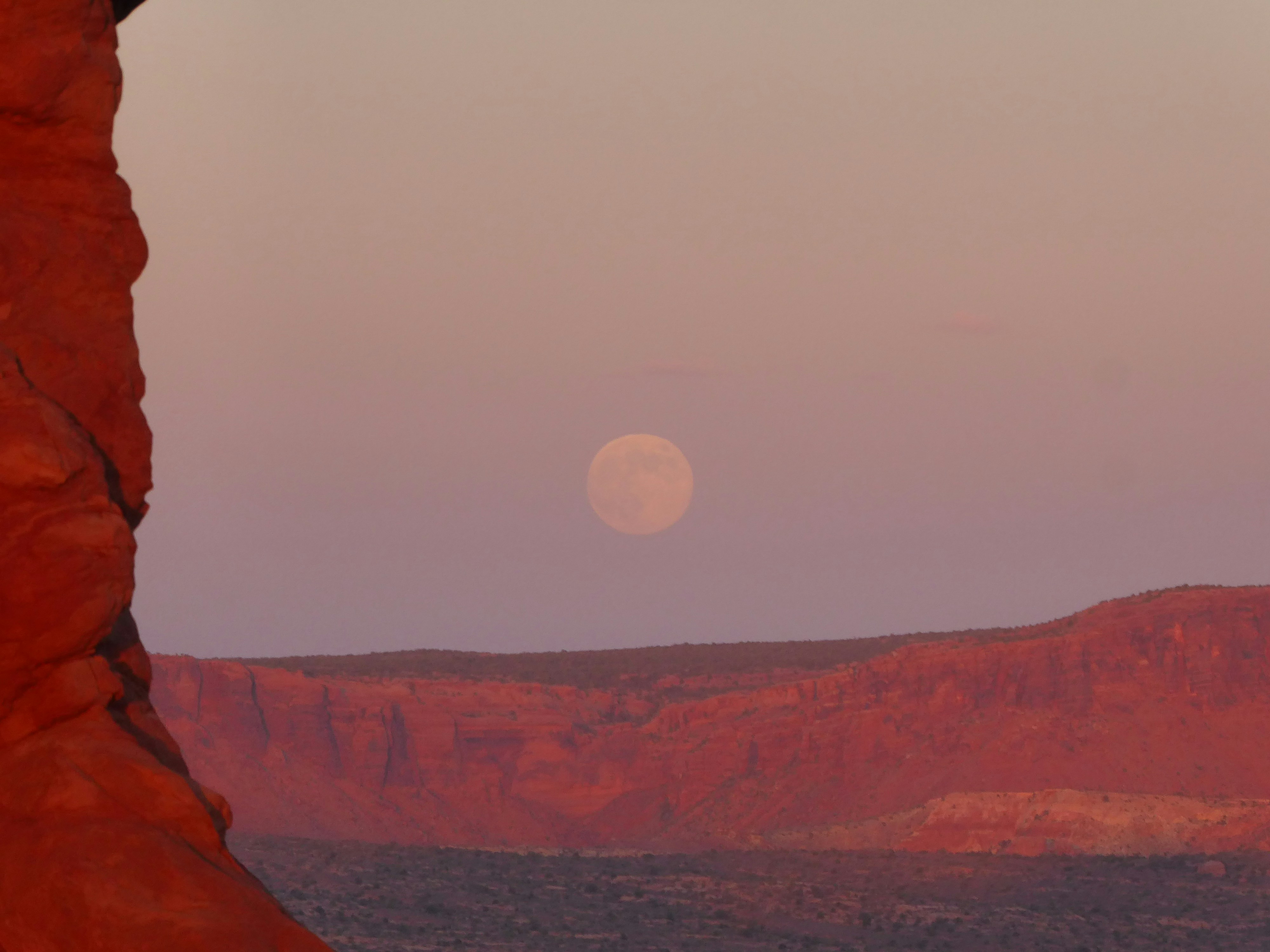 A pale moon hovers over a red rock canyon at dusk, with the warm cliffs catching the fading light. The foreground edge frames the horizon, highlighting the desert's textured geology.
