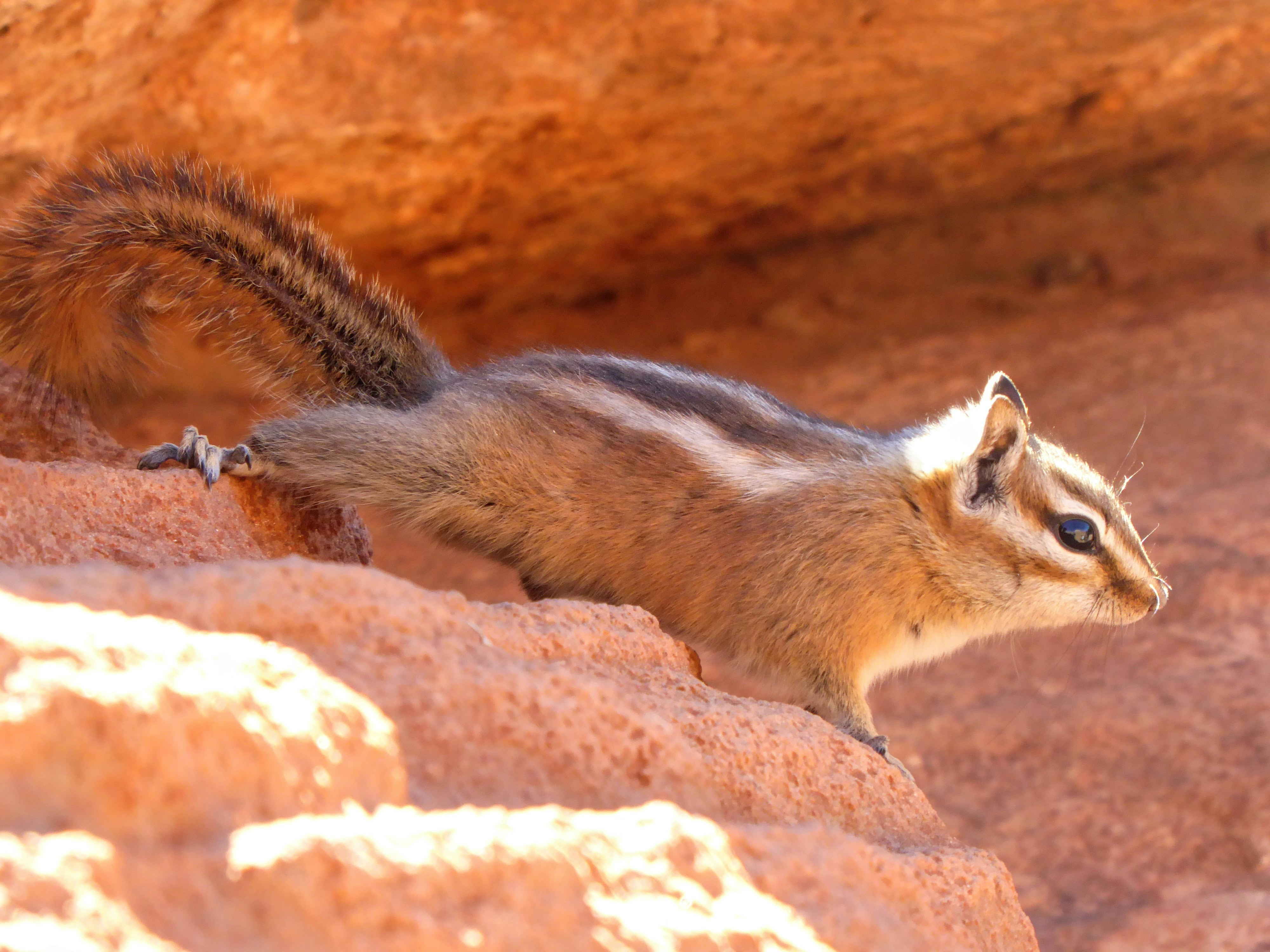 Photo by Karin Kim with Panasonic Lumix ZS50