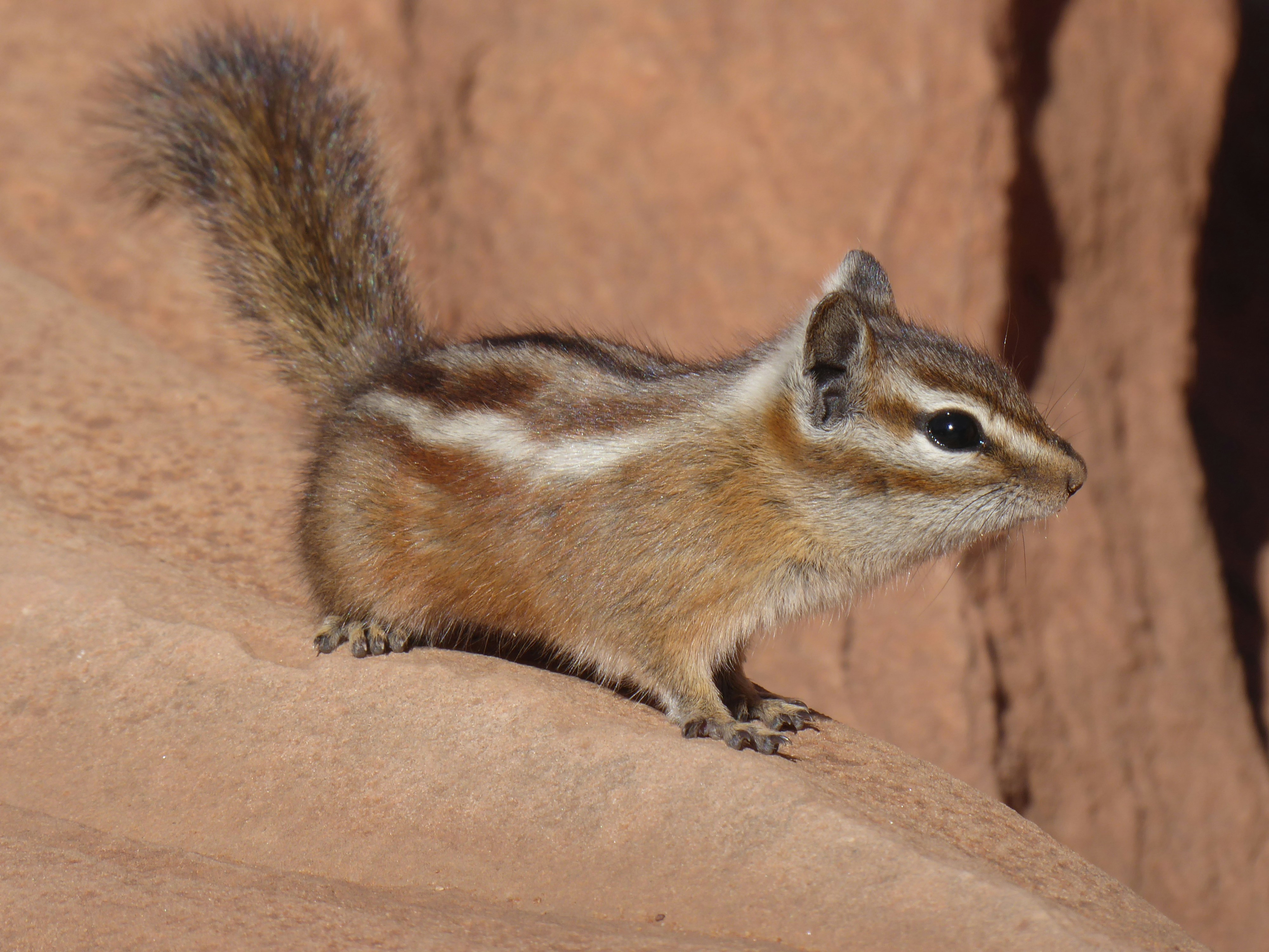 Photo by Karin Kim with Panasonic Lumix ZS50