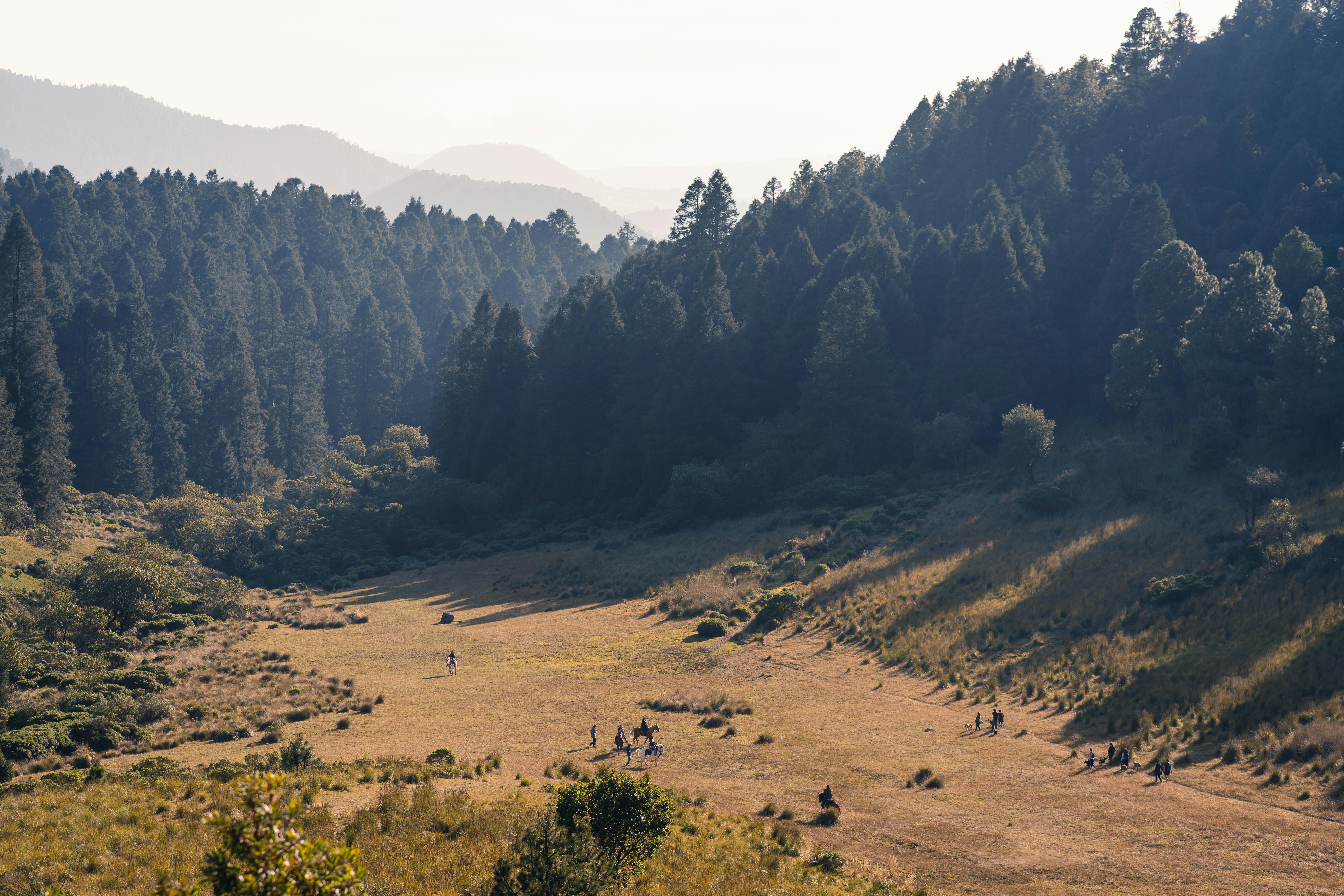 Photo by Julio Lopez with Sony Alpha 7 IV