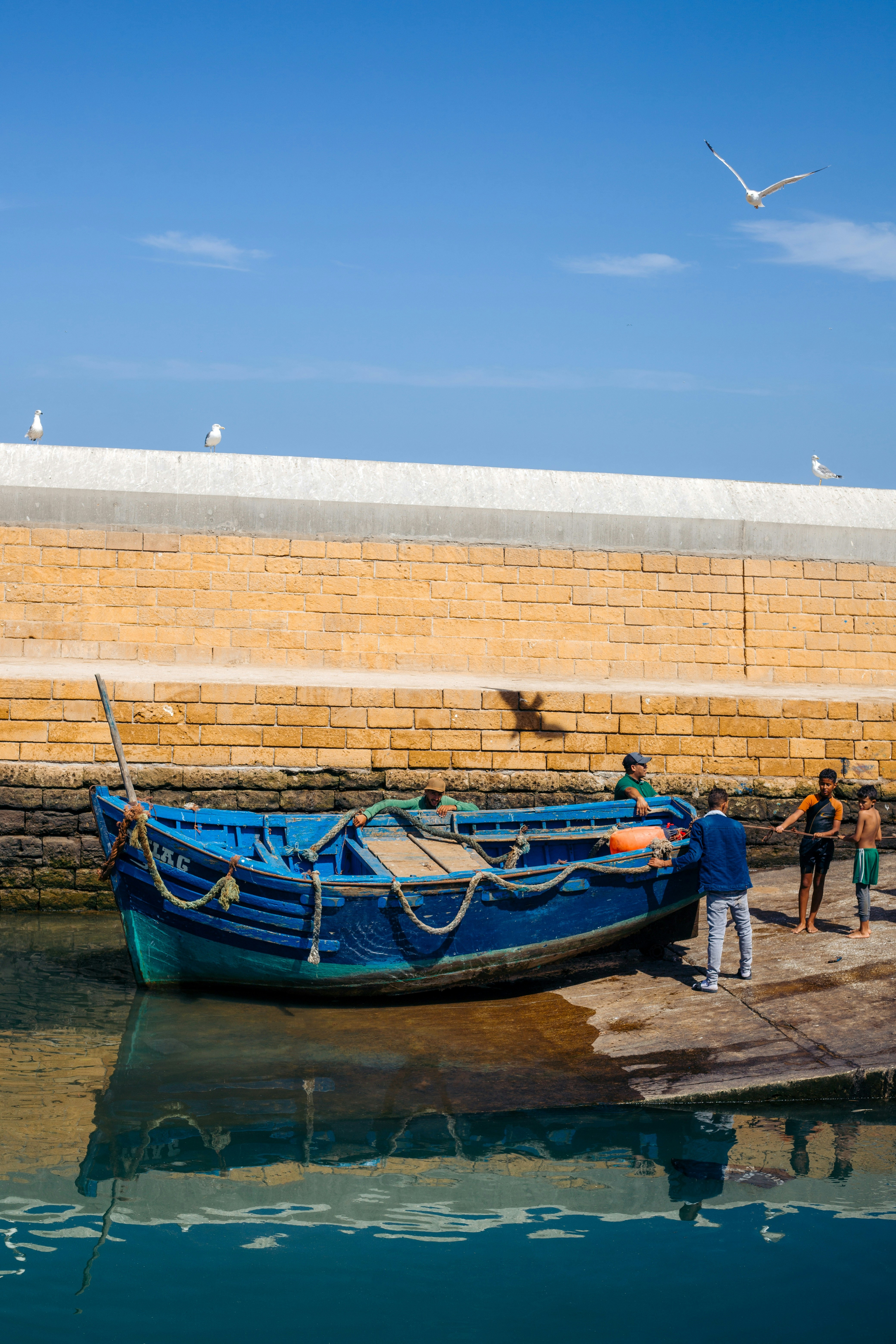 Blue Workboat by the Quay: Seabirds, Shadows, and Sunlit Ripples