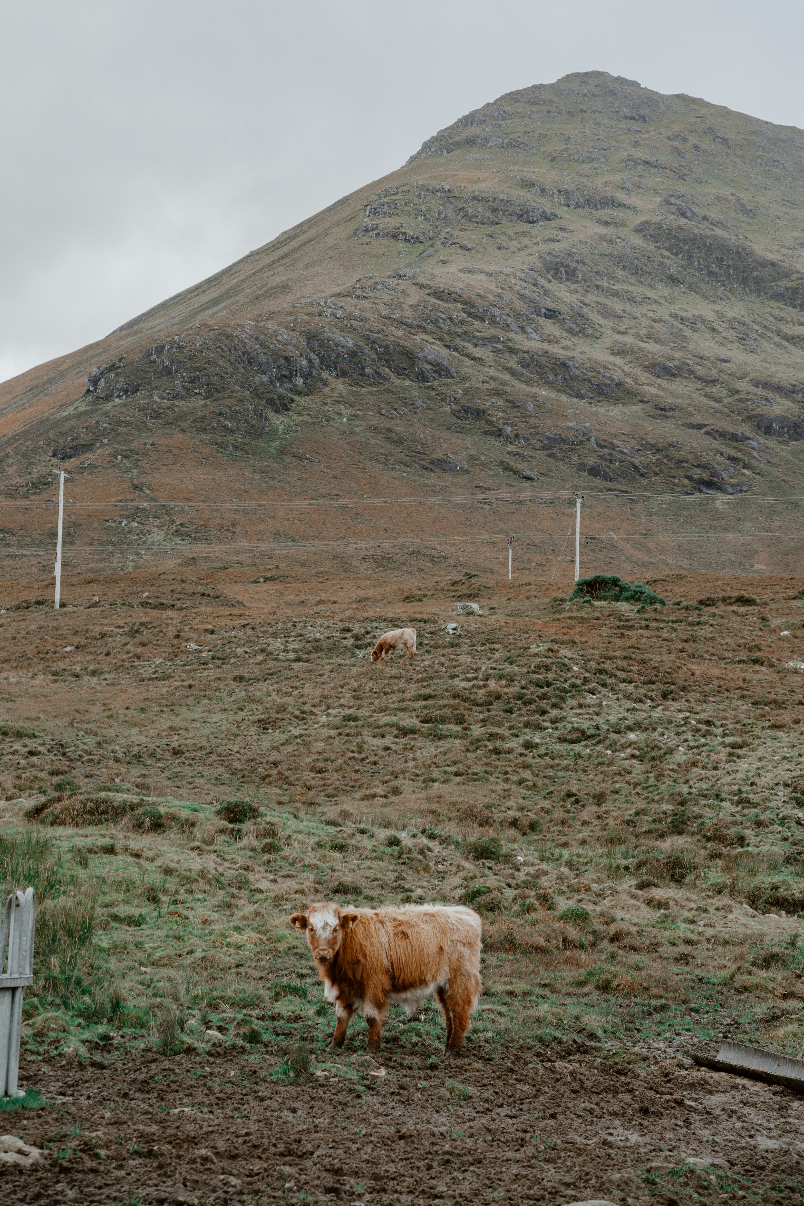 Photo by Filiz Elaerts with Sony Alpha 6000