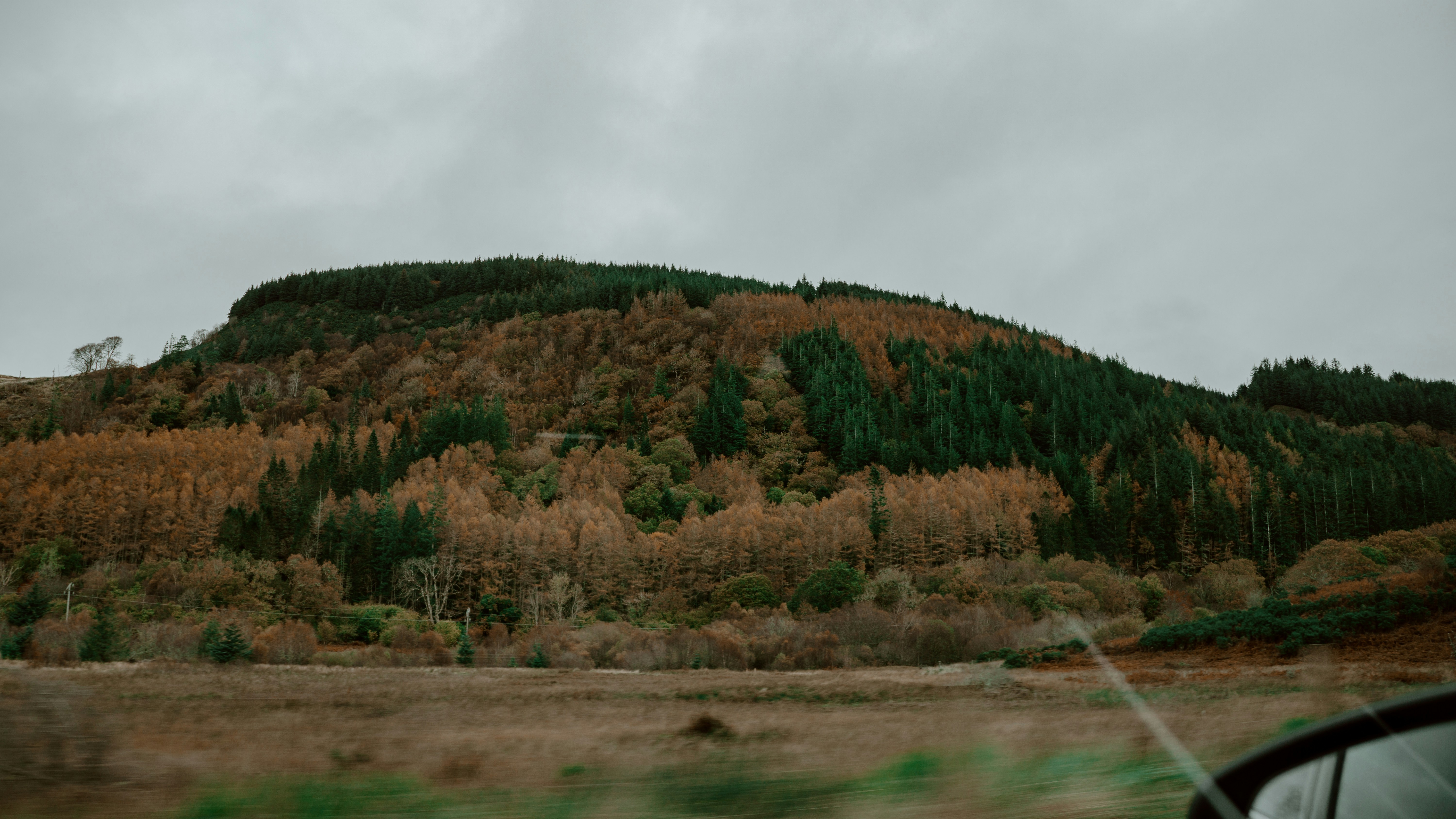 Photo by Filiz Elaerts with Sony Alpha 6000