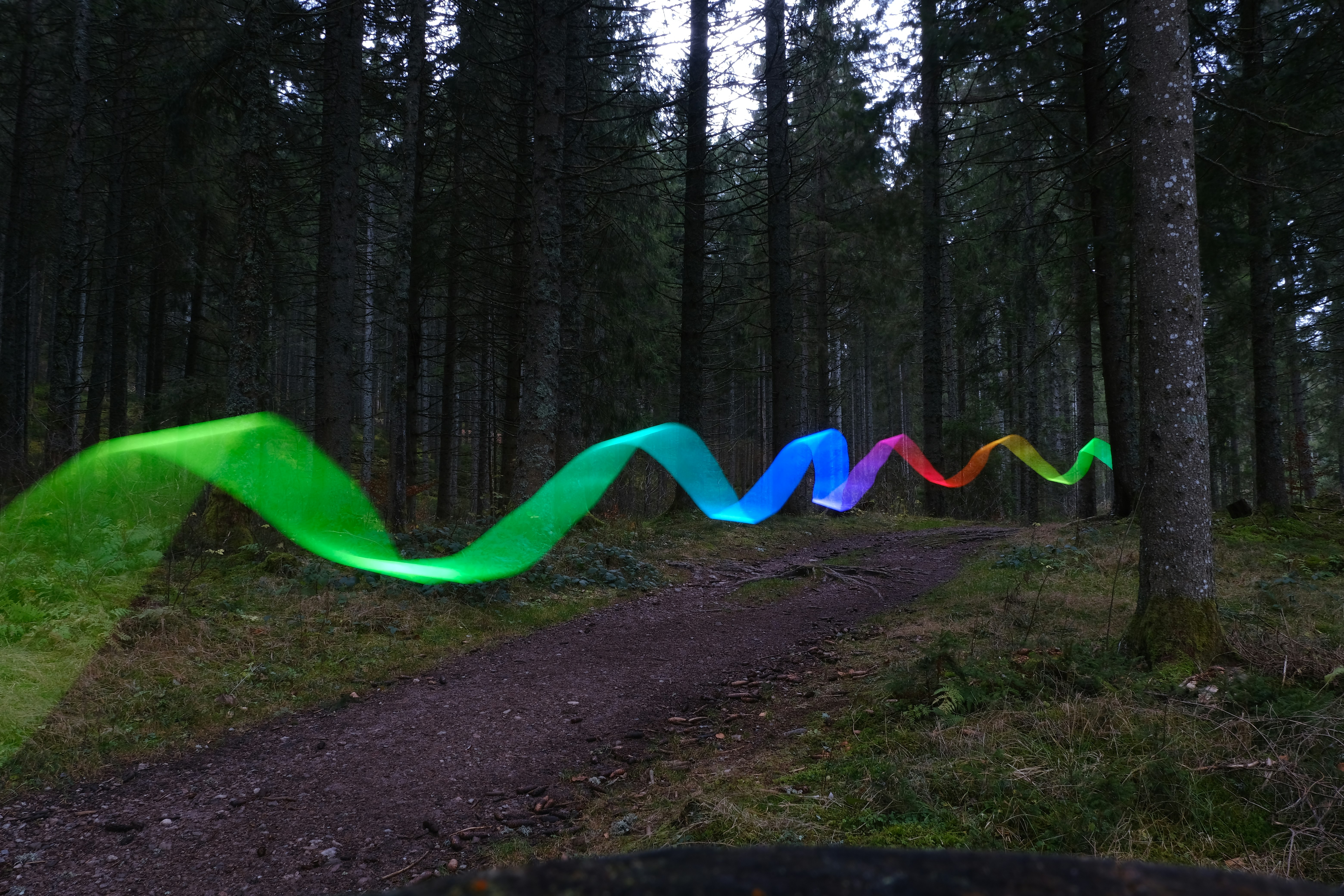 Vibrant ribbons of light weave through a tranquil forest path, creating a mesmerizing visual contrast against the dark trees. The scene captures the harmony of nature and art.