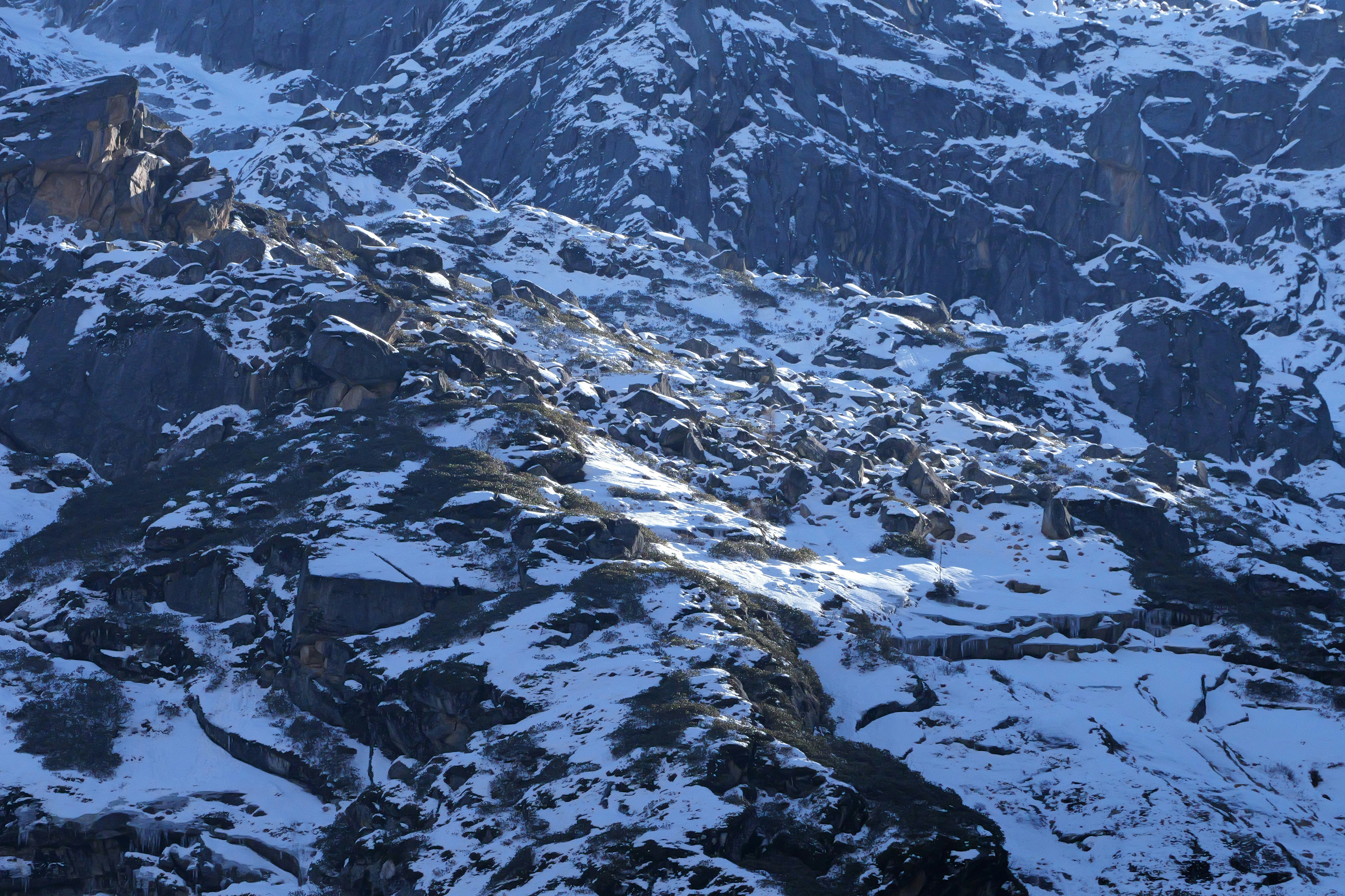 Sunlit Peaks in Winter's Embrace
