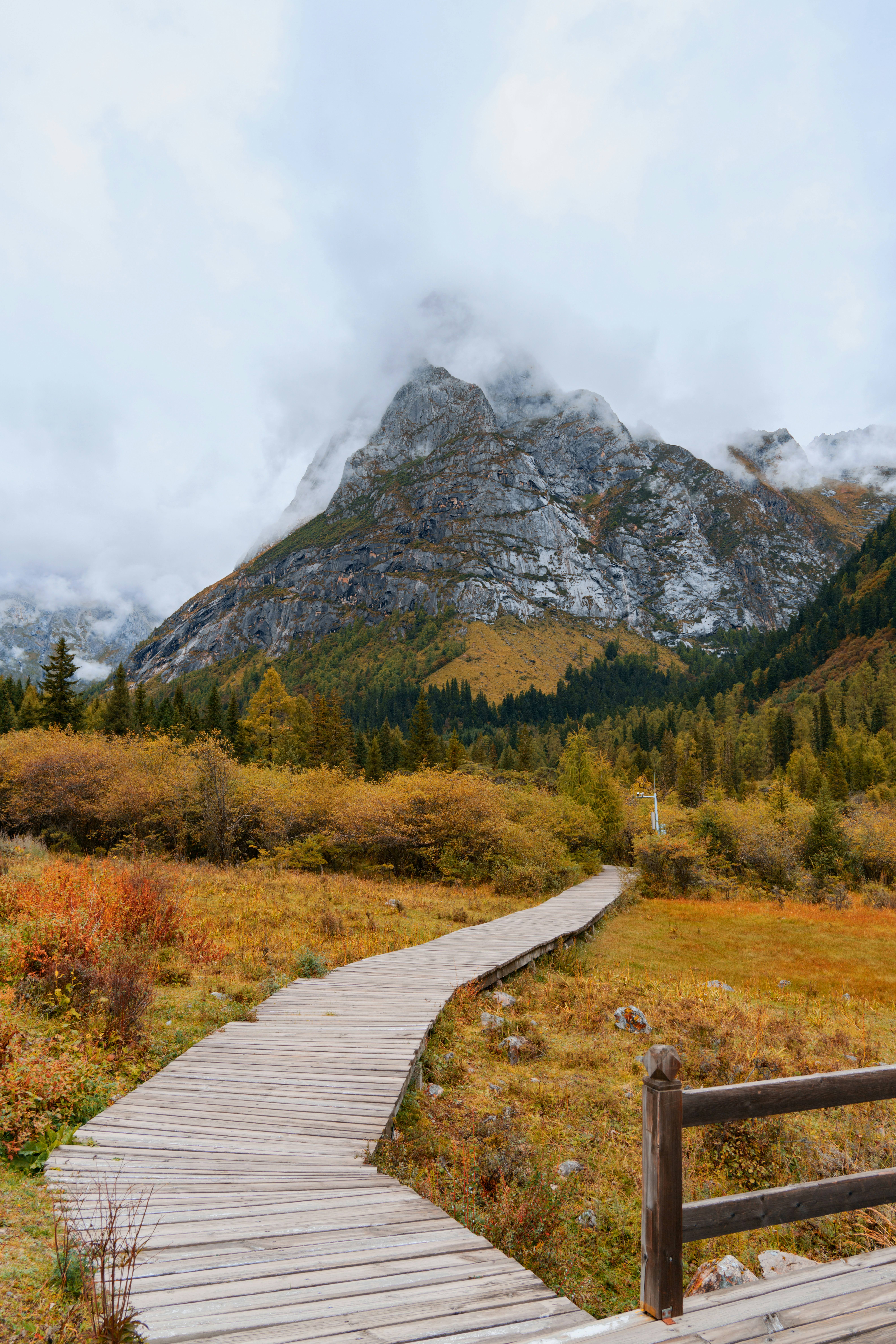 Boardwalk to a Mist-Shrouded Alpine Peak