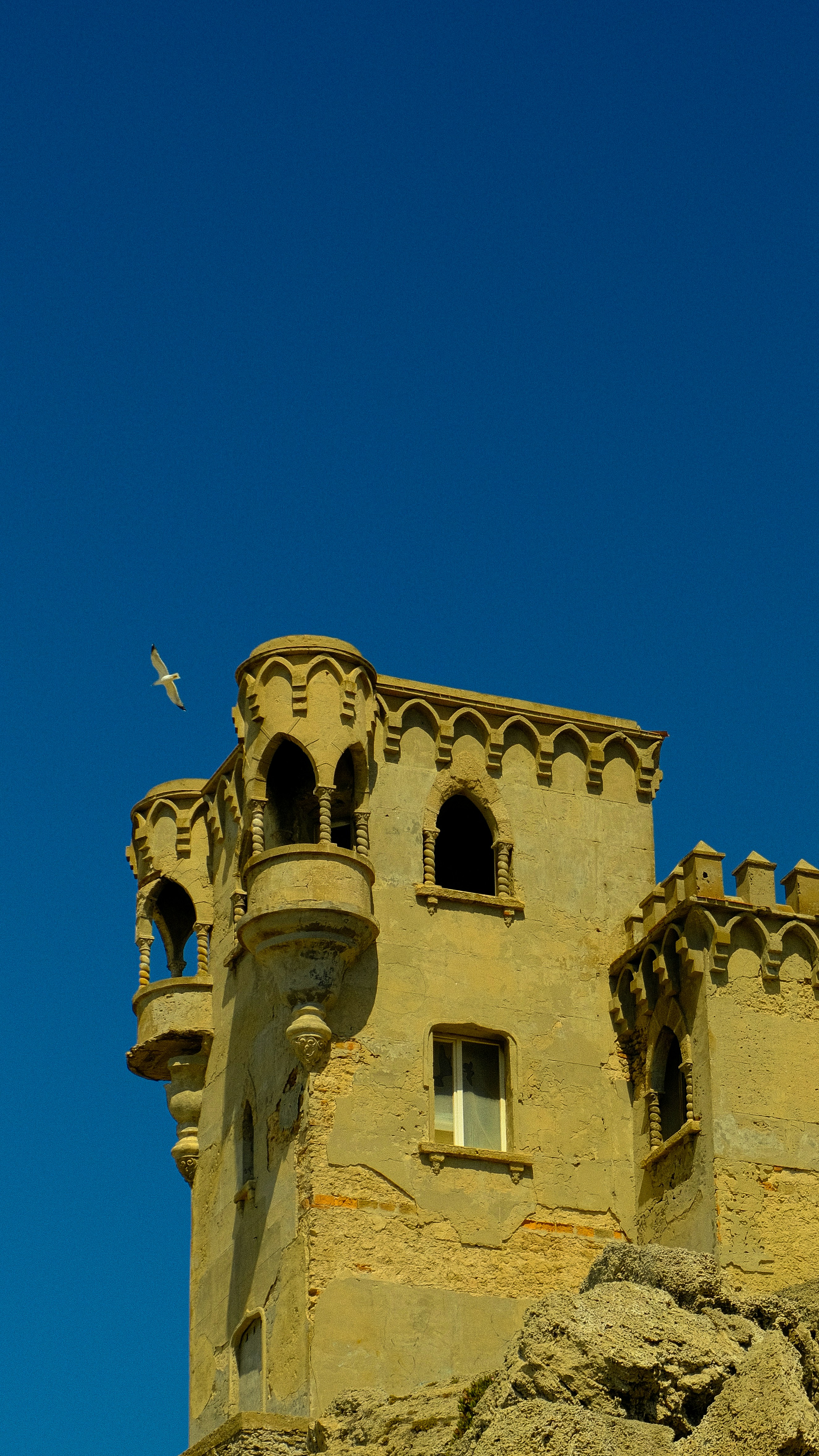 Azure Sky over the Weathered Turret: Seagull Above the Bastion