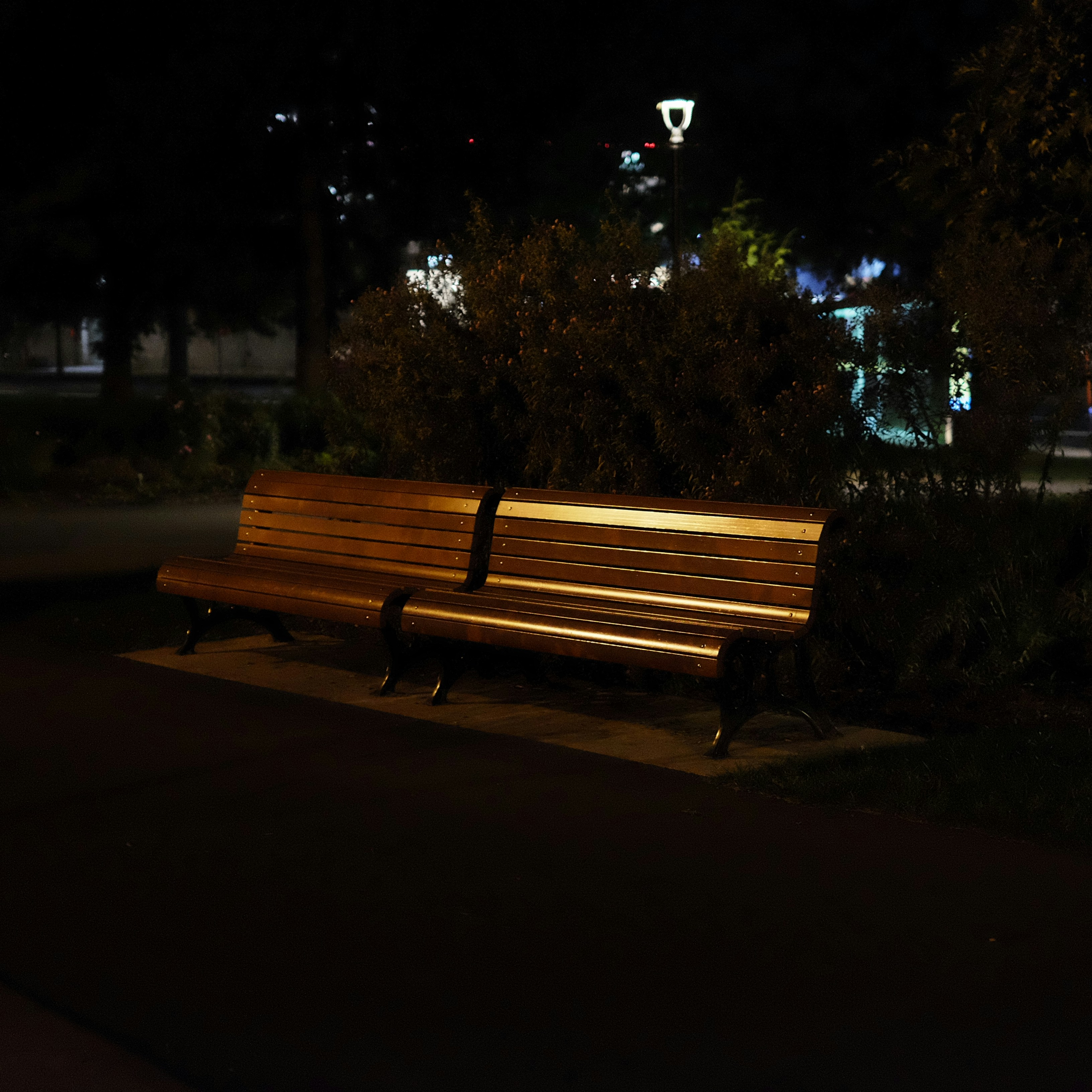 Warm Wood Under Nightfall: A Quiet Park Bench Illuminated by Streetlamp