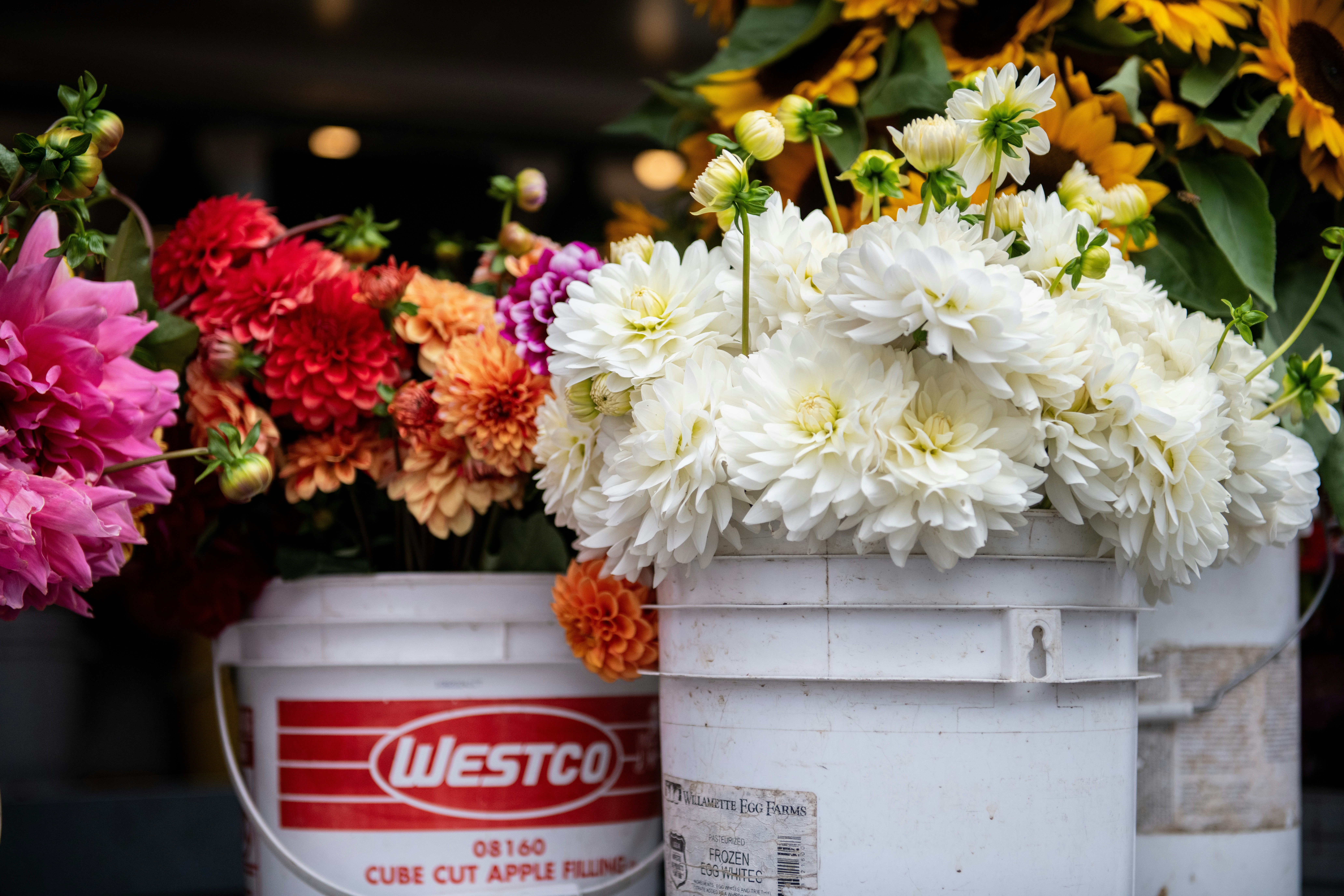 Bouquets in White Buckets: Seasonal Harvest with Westco Branding
