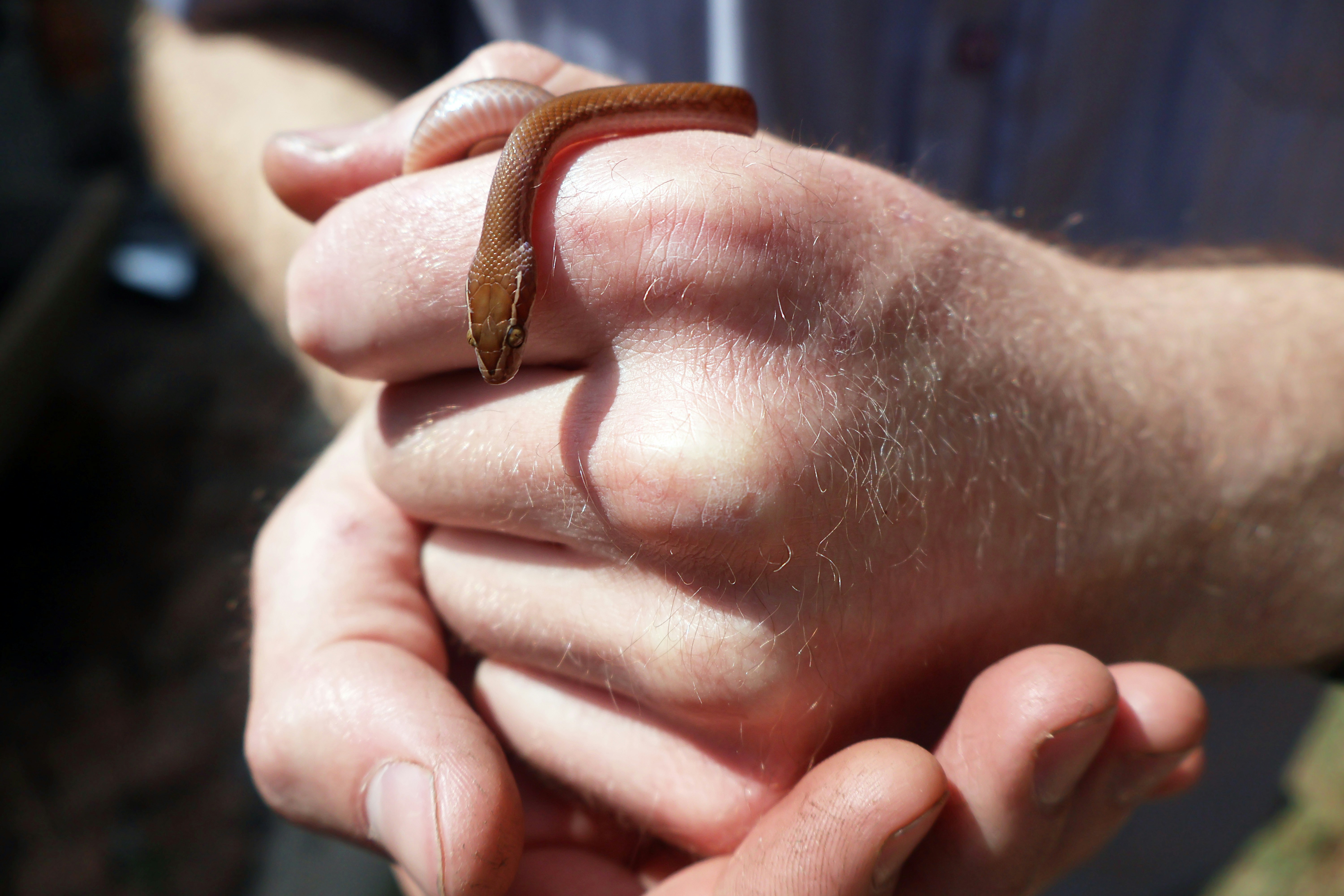 Photo by Larisa Steele with Canon EOS R50