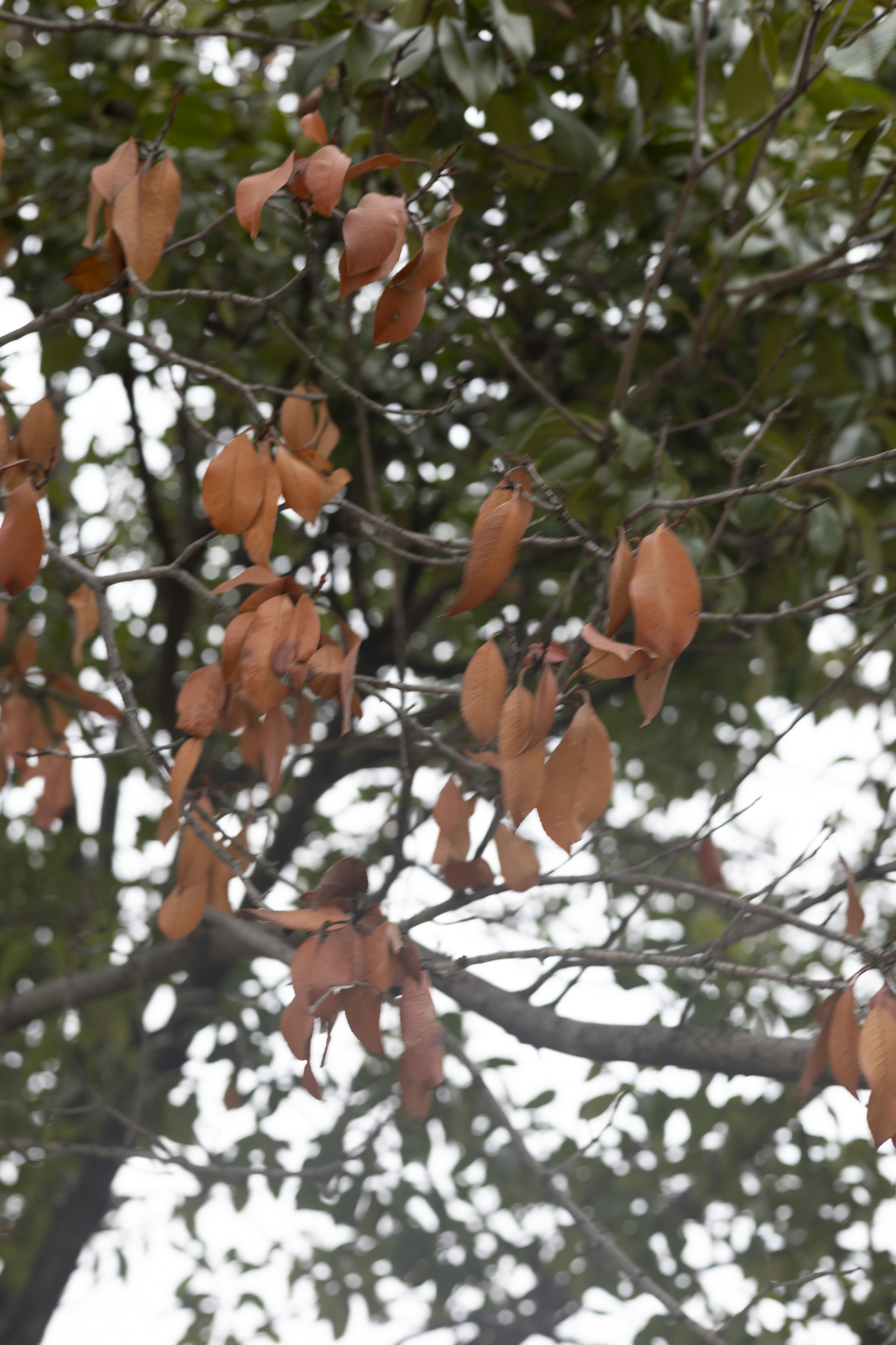 Photo by Sankalp Mudaliar with Canon EOS RP