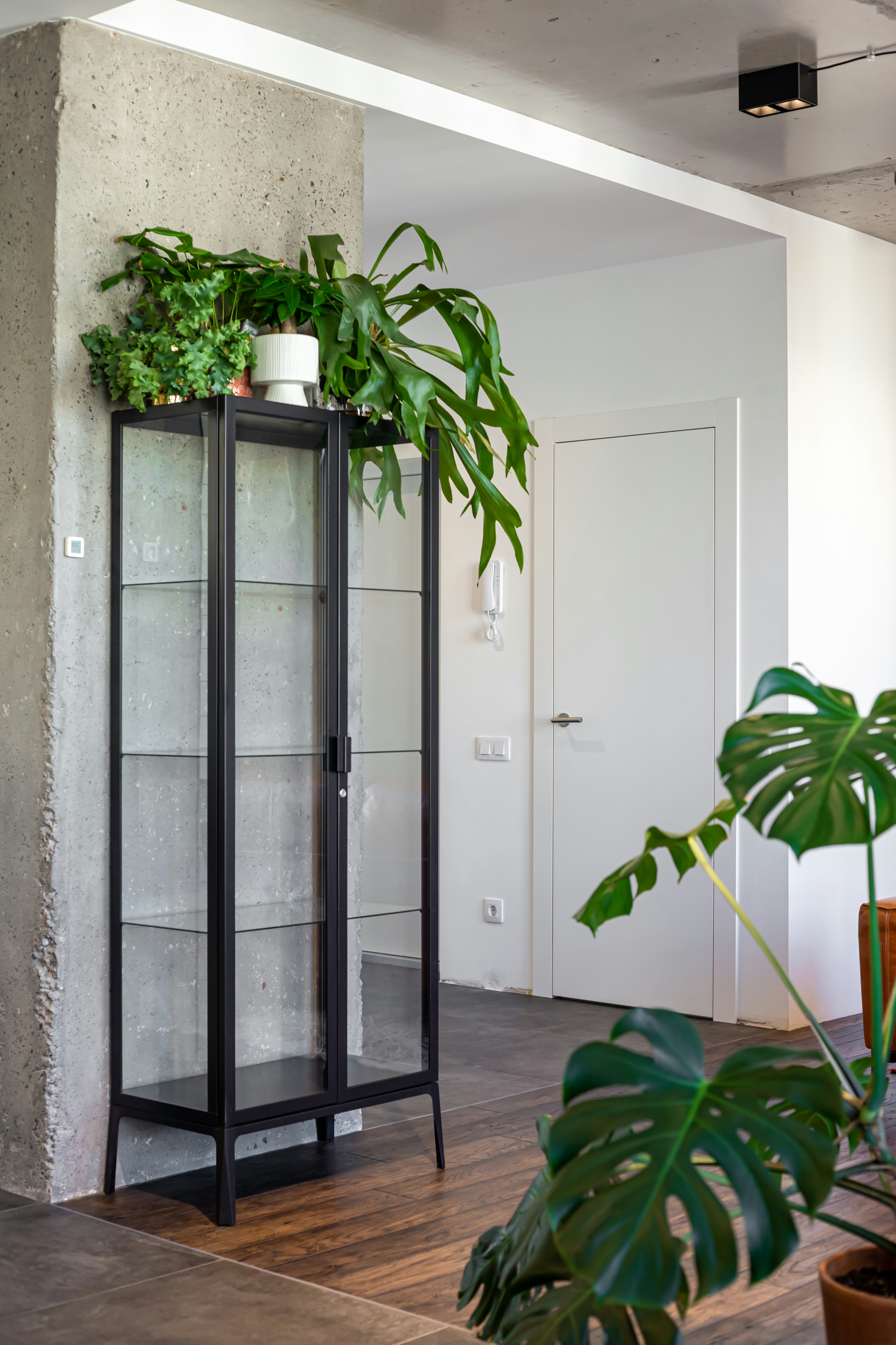 Vertical display of greenery: a glass-front cabinet anchors a modern plant-filled interior