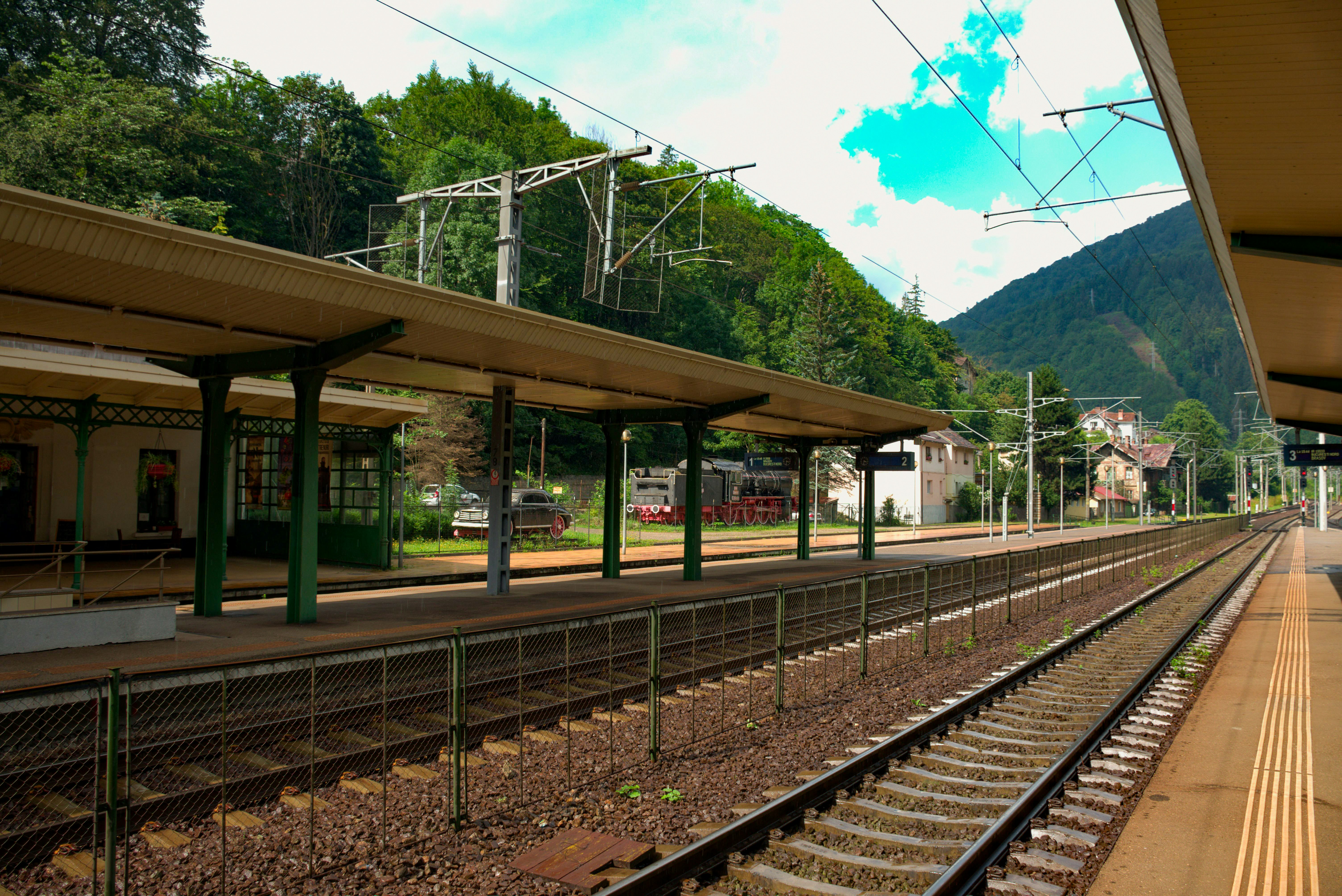 Photo by Mircea Solomiea with Nikon D3400