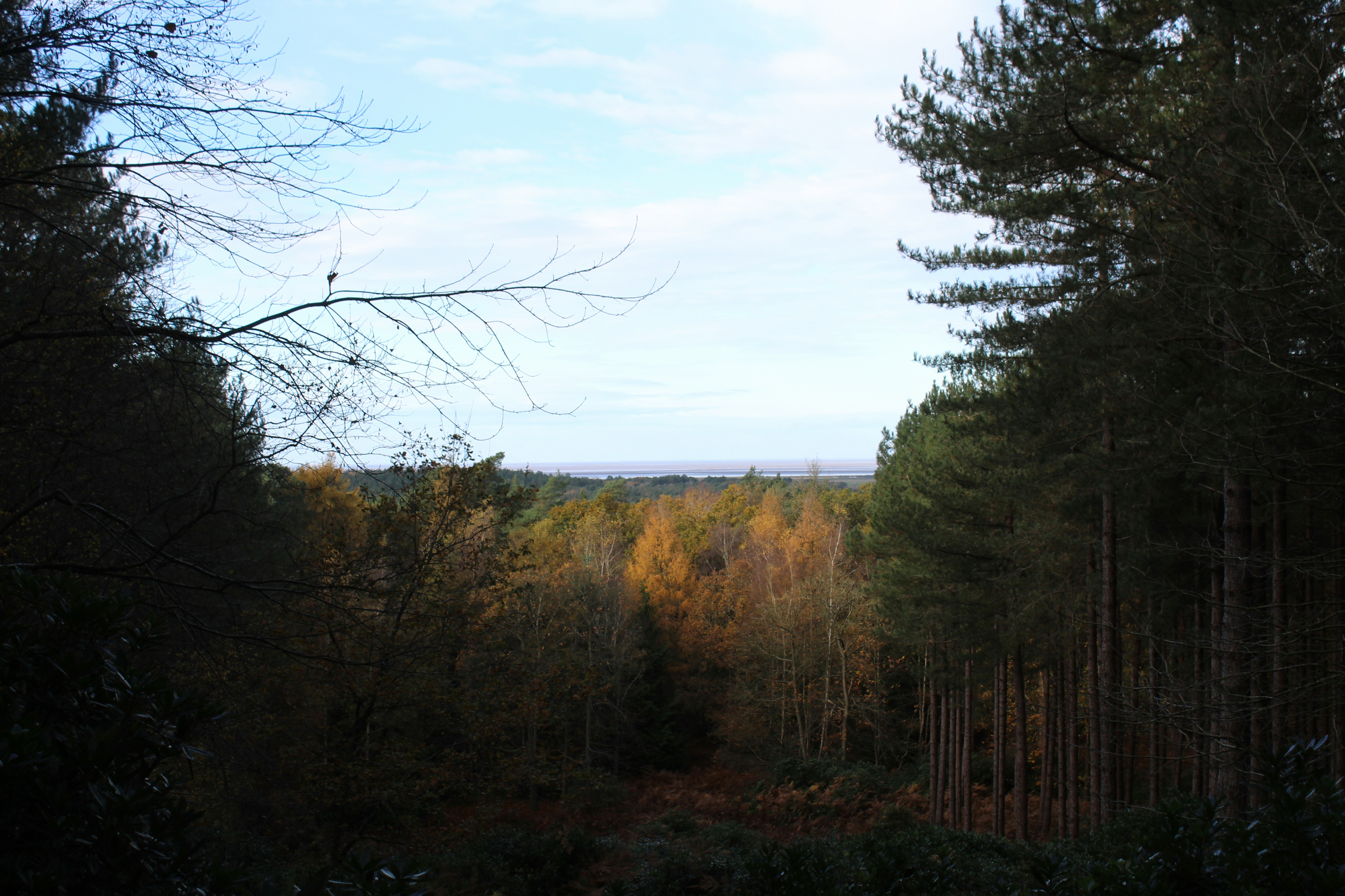 Photo by Thomas Underwood | TTP with Canon EOS 4000D