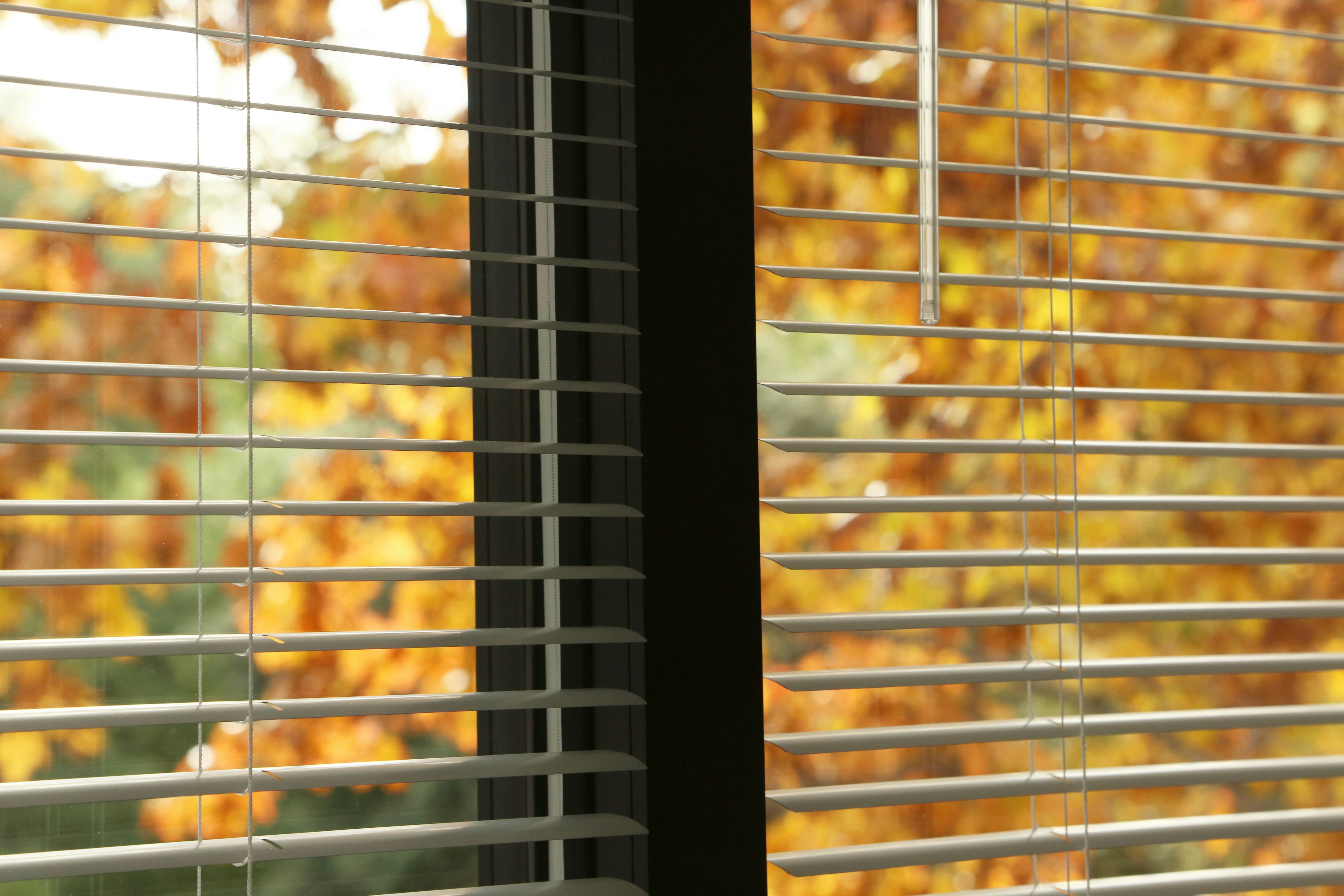 Photo by Giorgio Trovato with Canon EOS 5D Mark III