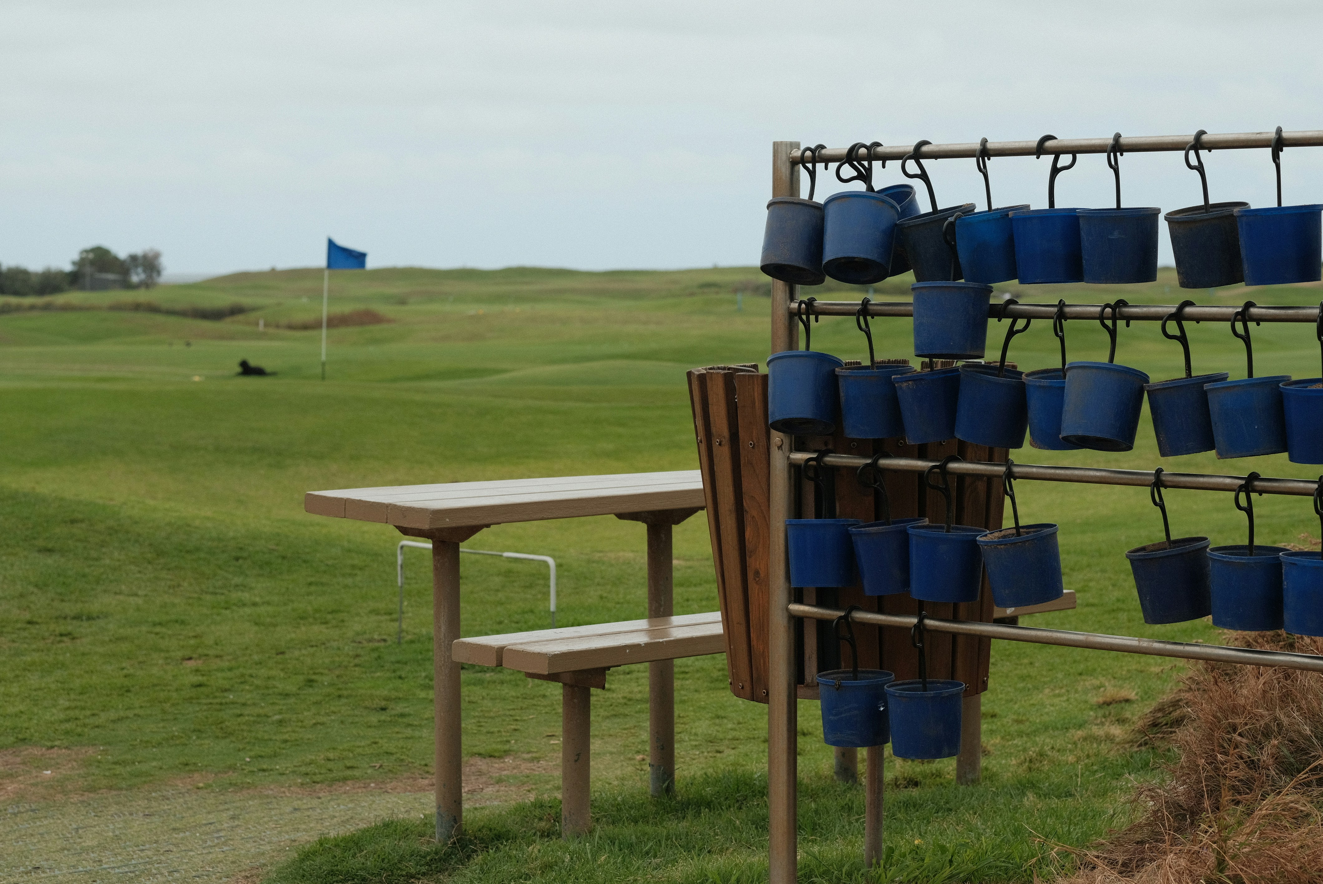 A wooden bench sitting next to a blue bucket displayDominic Kurniawan Suryaputra