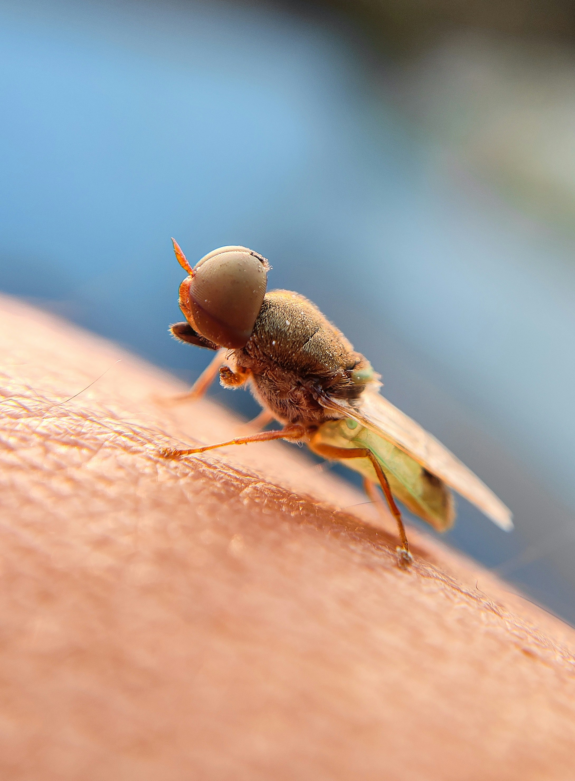 Photo by Shyamli Kashyap with Redmi Note 10 Pro