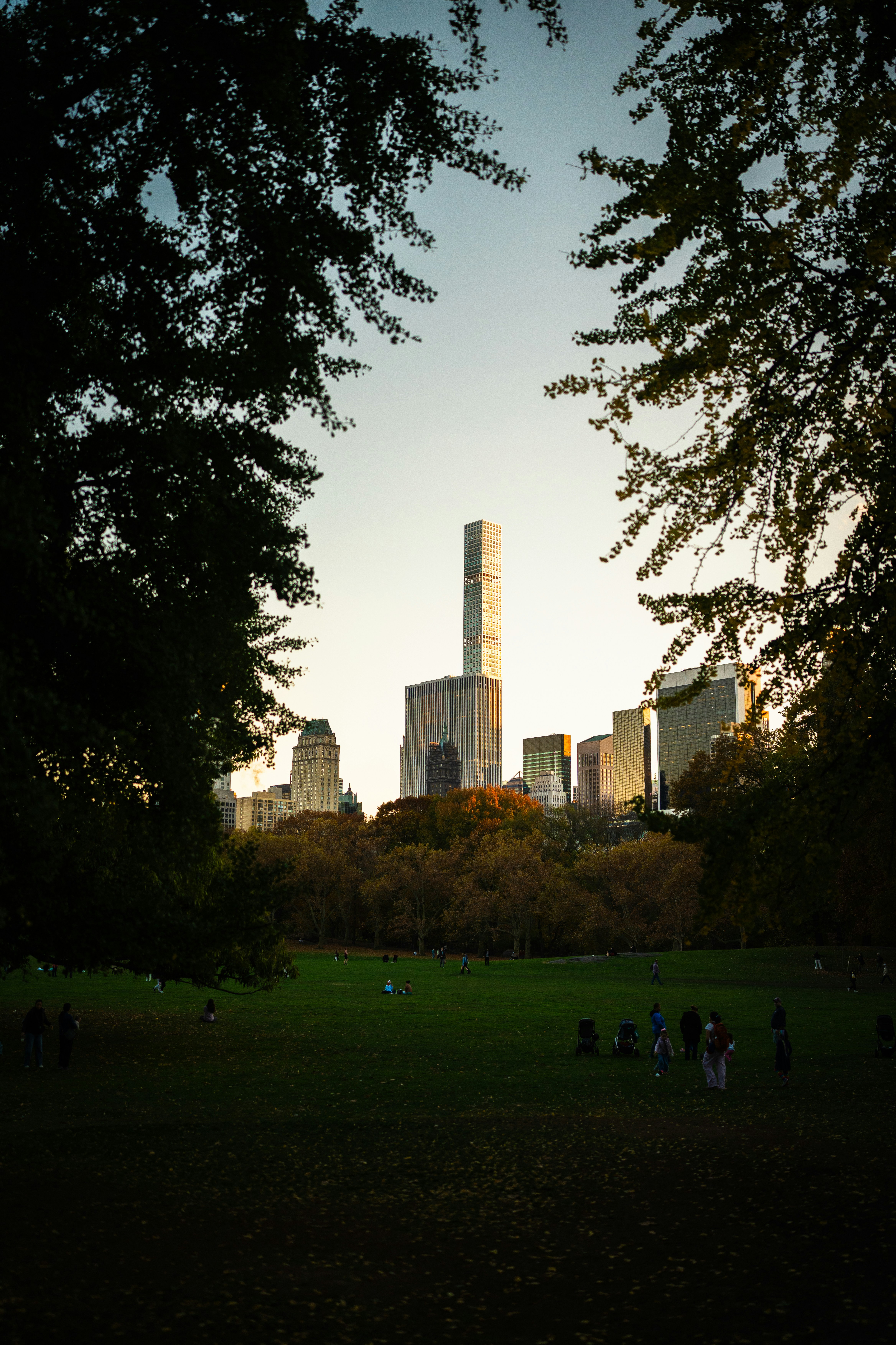 Glass Needle at Golden Hour: Park-Framed Skyline
