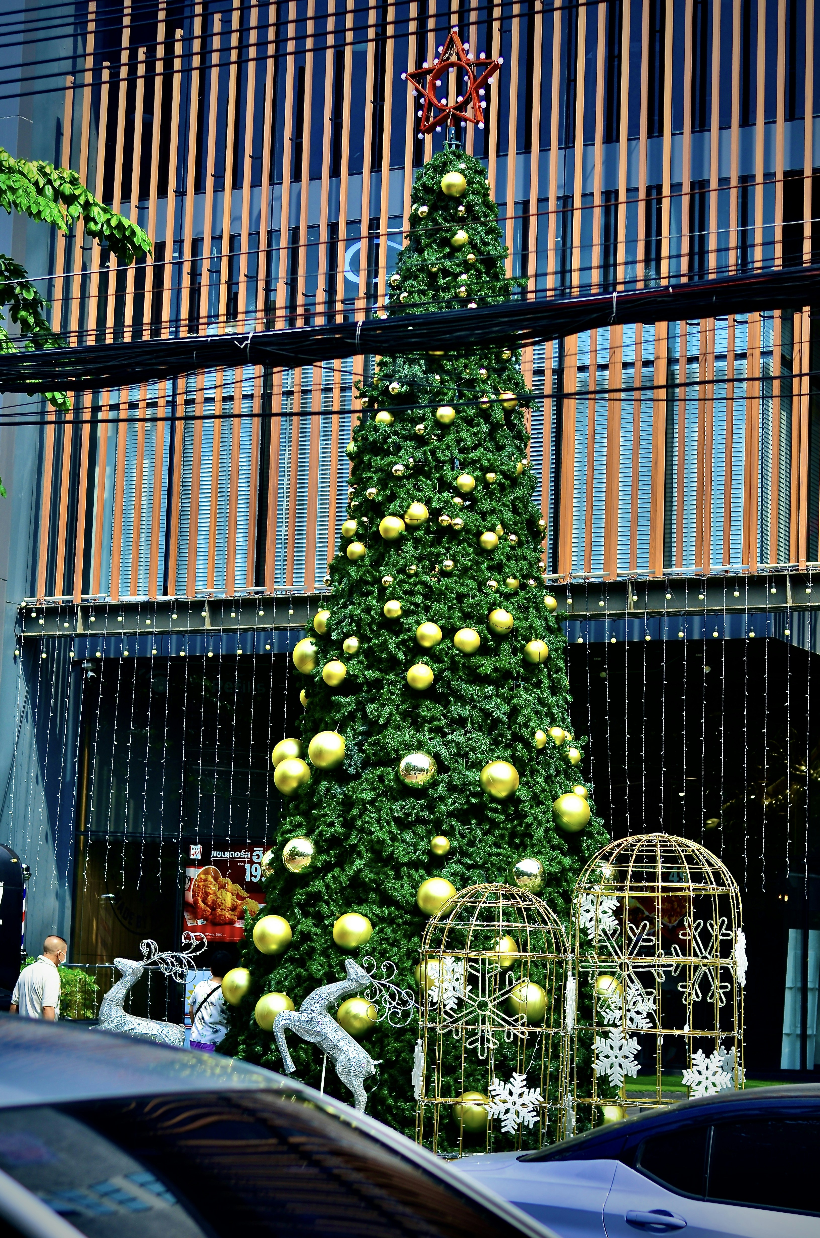 Gilded Christmas Tree Dressed in Gold Beneath a Striped Glass Facade