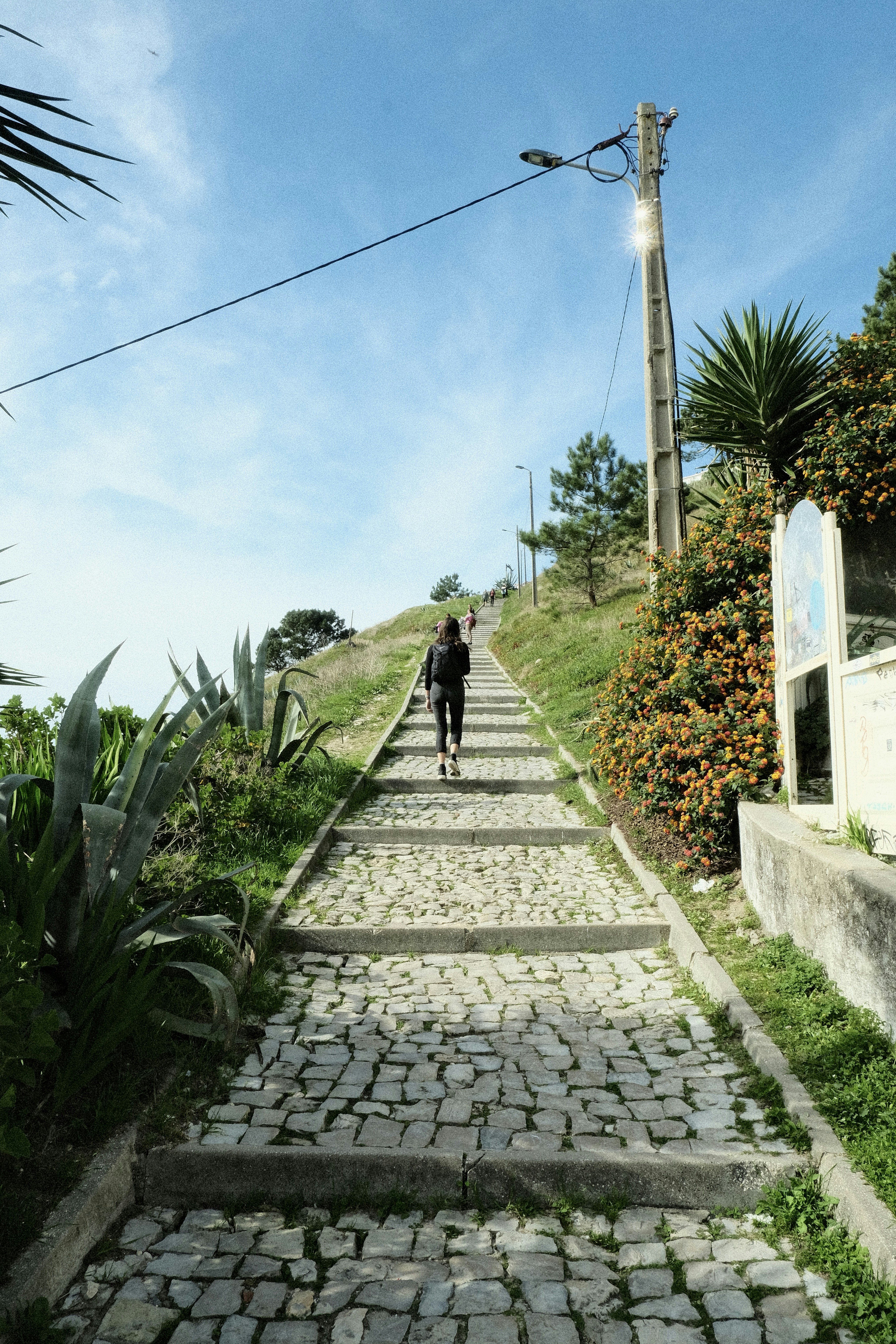 Journey Up the Cobblestone Path
