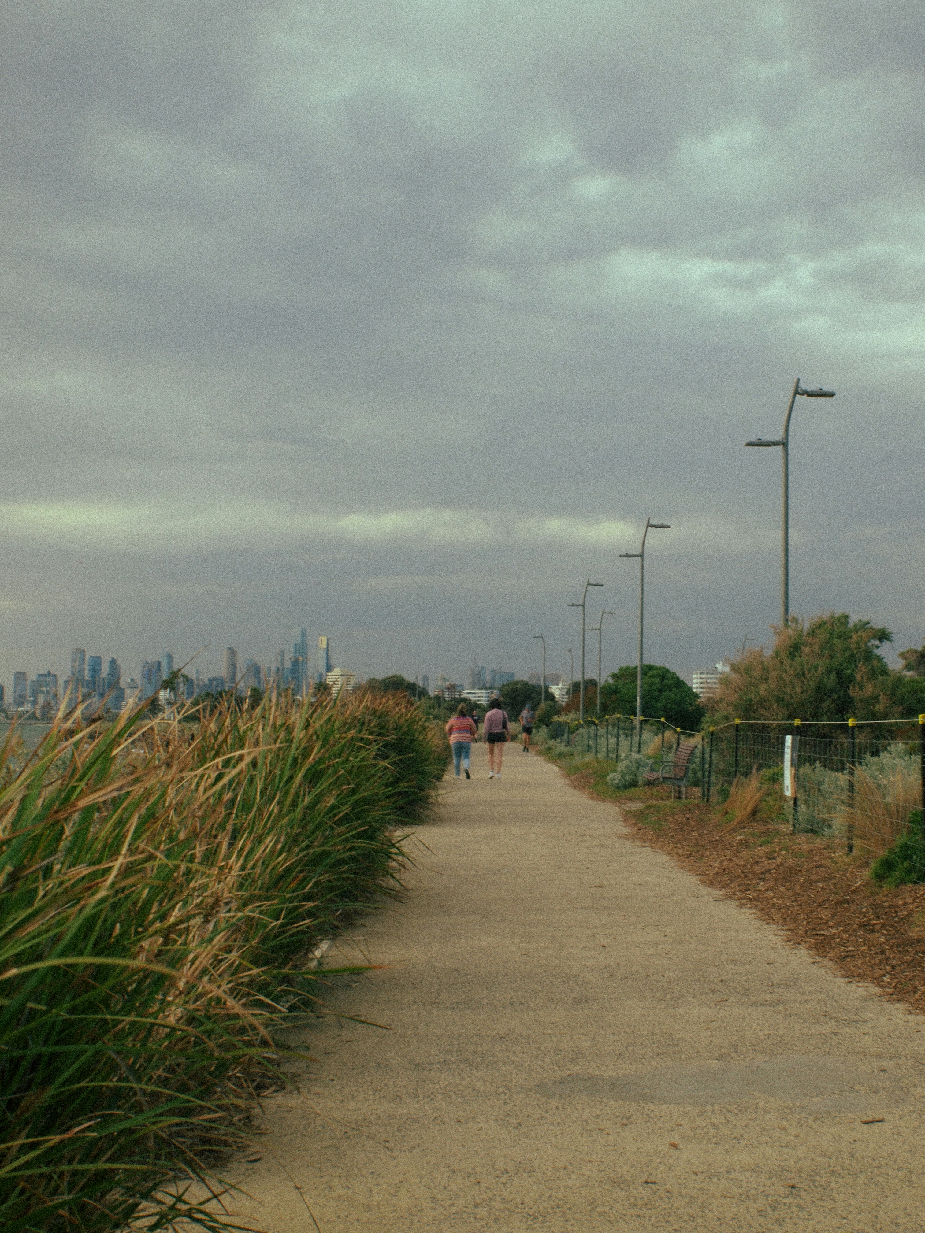A long path with tall grass on the side of it photo – Free Melbourne ...
