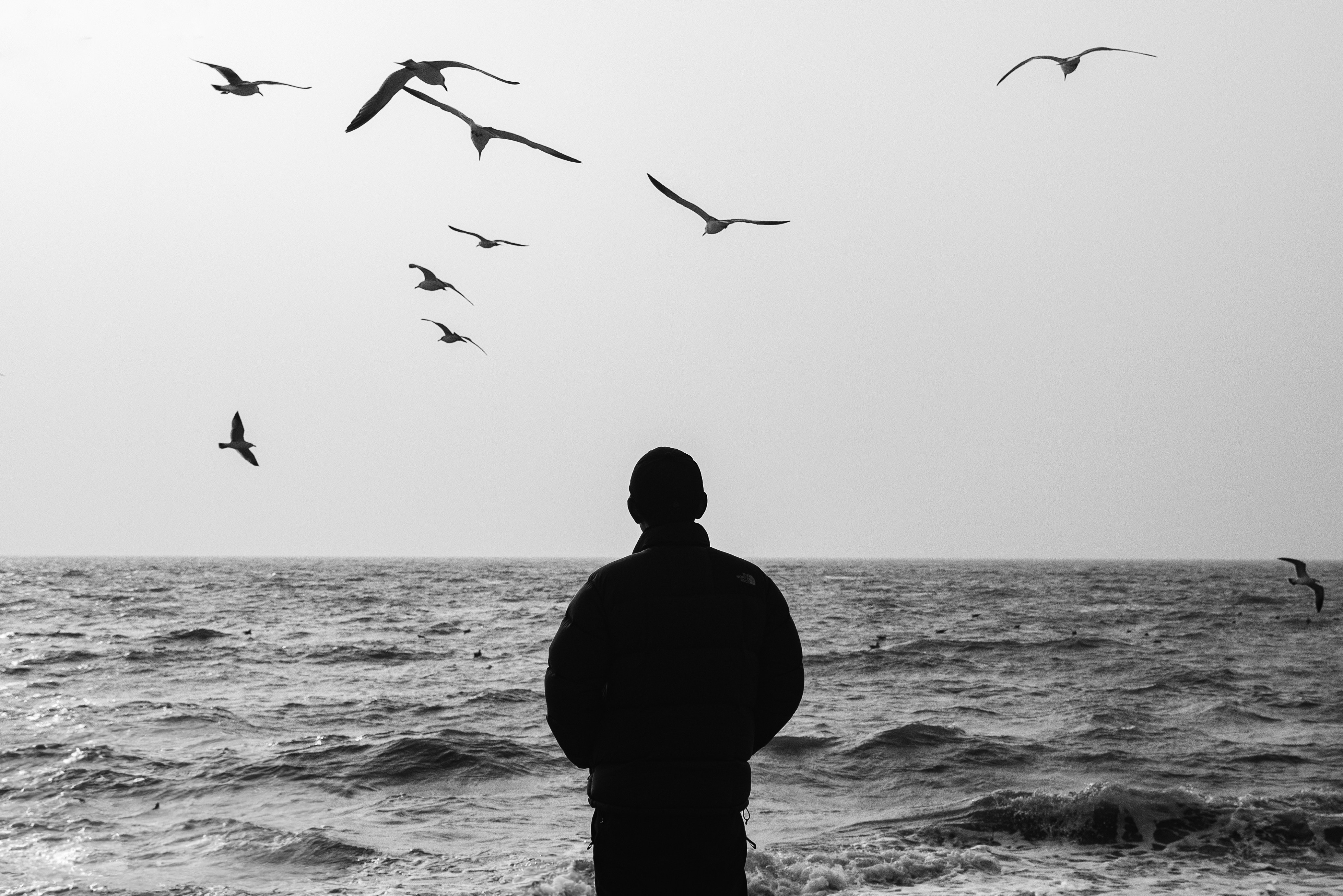 Um homem em pé em uma praia observando pássaros voando sobre o oceano ...