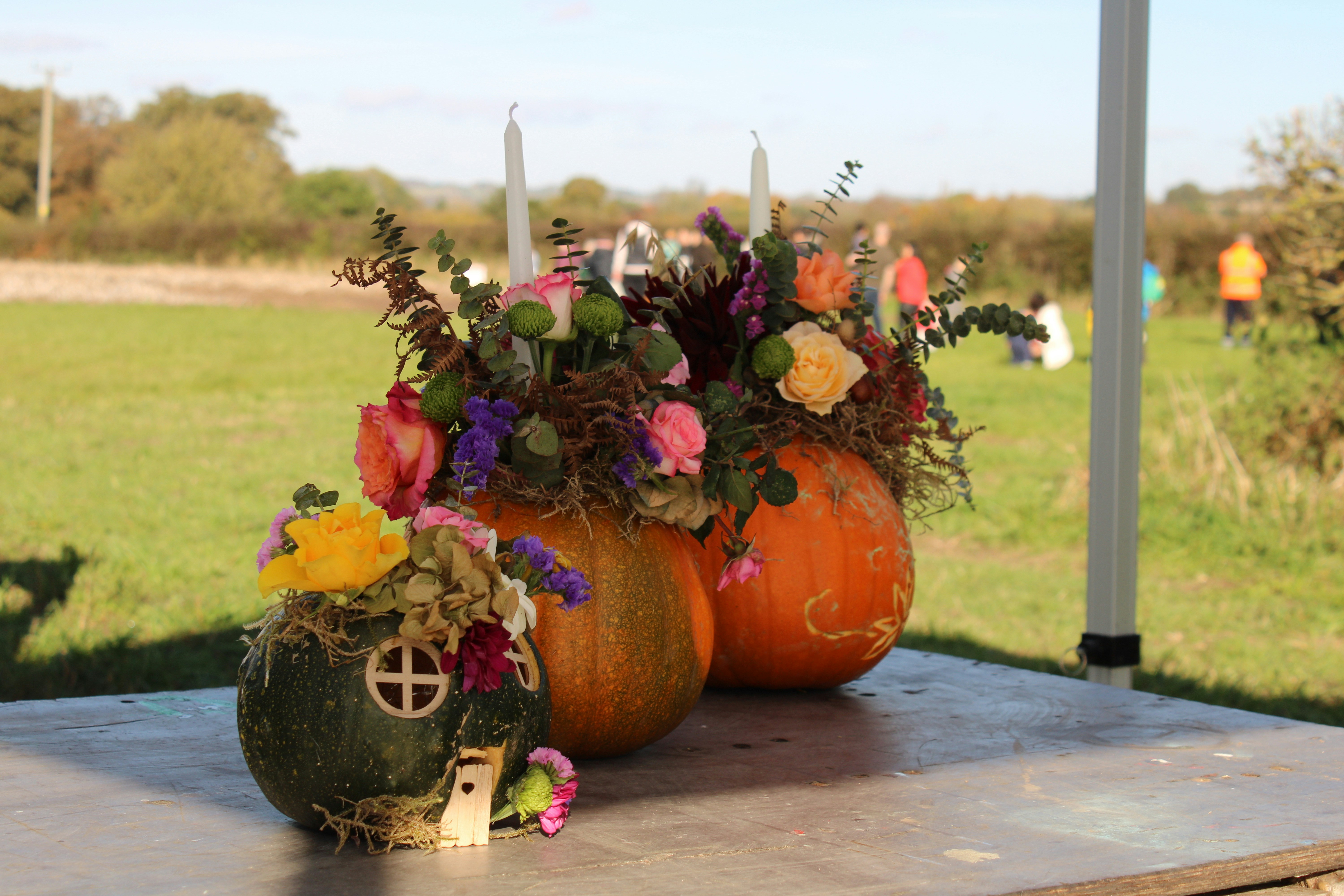 Autumn Harvest Centerpiece on a Sunny Afternoon