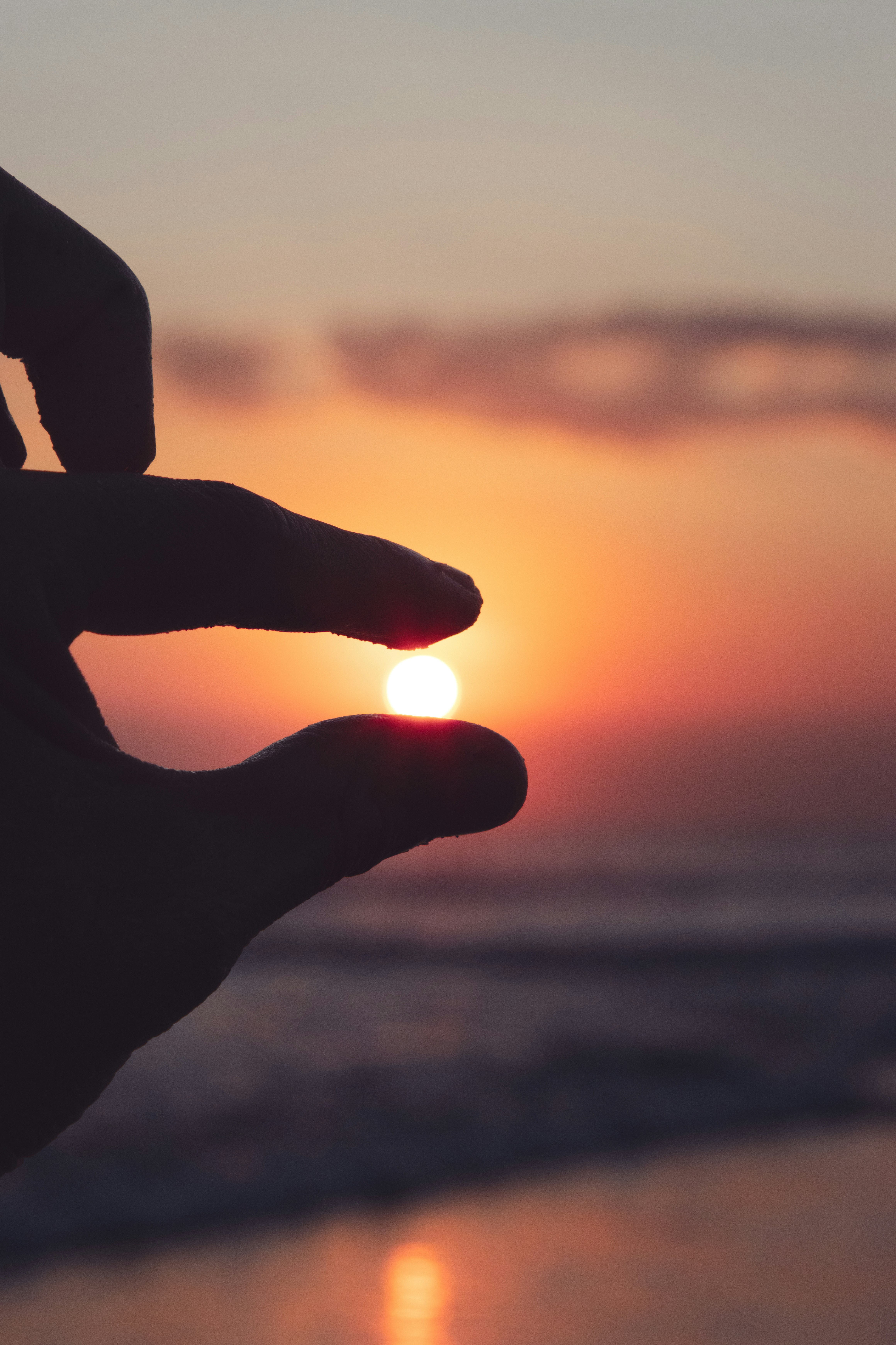 A person holding their hand out to the sun photo – Free Beach Image on ...