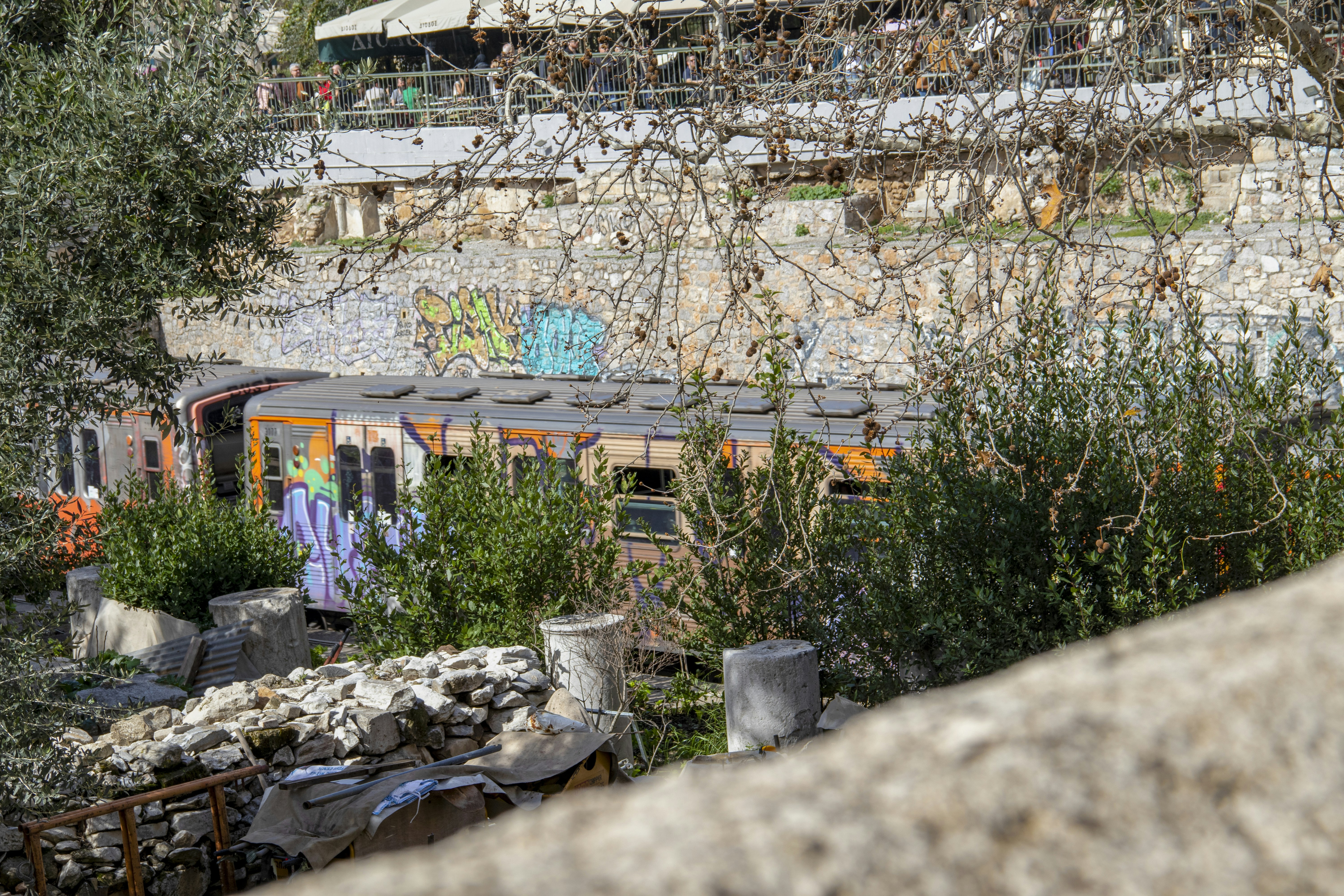 Graffiti-Trimmed Train Through a Overgrown Quarry