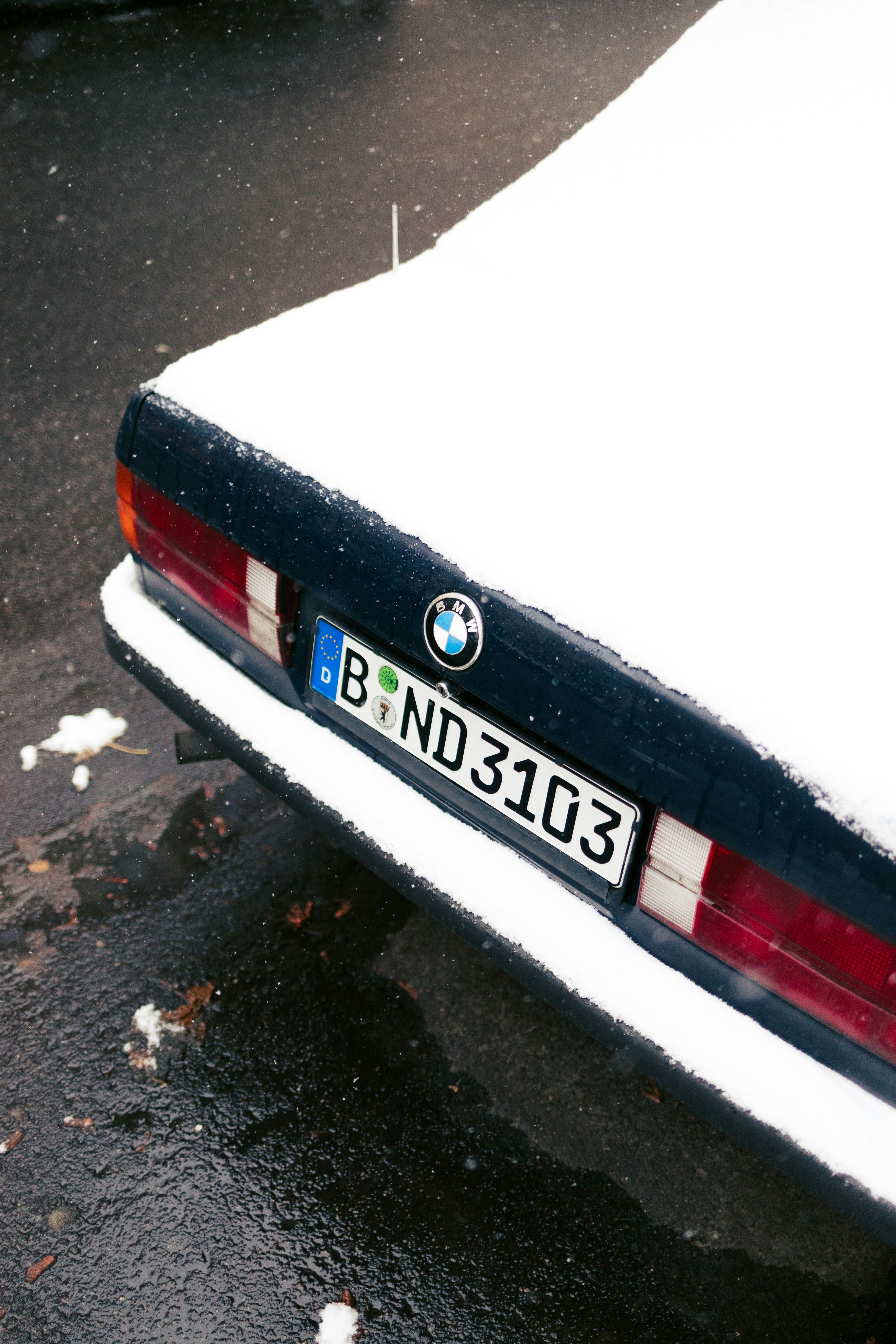 Snow-kissed BMW Badge and European Plate on a Quiet Winter Lane