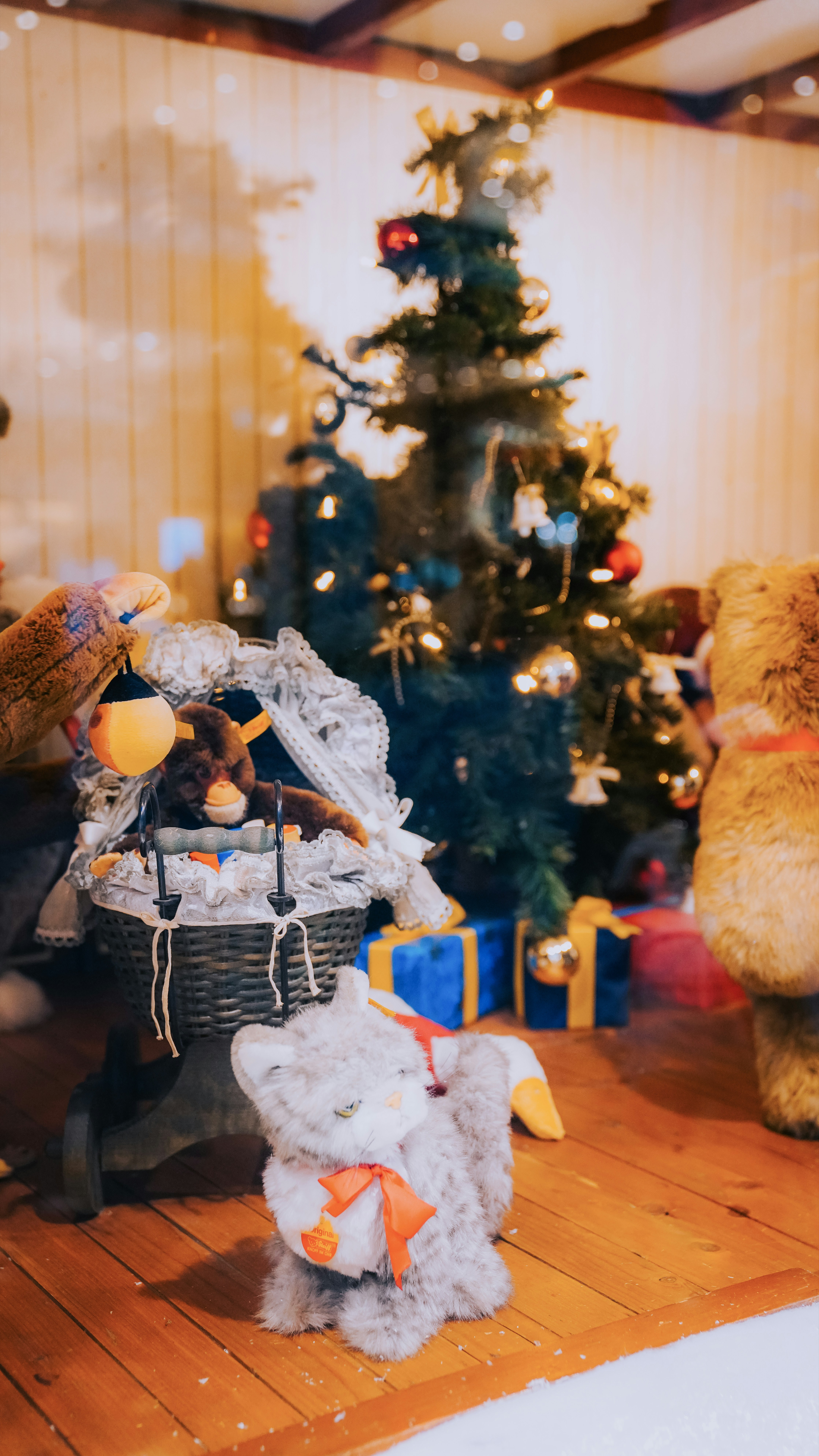 Photo by ‪Salah Darwish with Sony Alpha 7R III