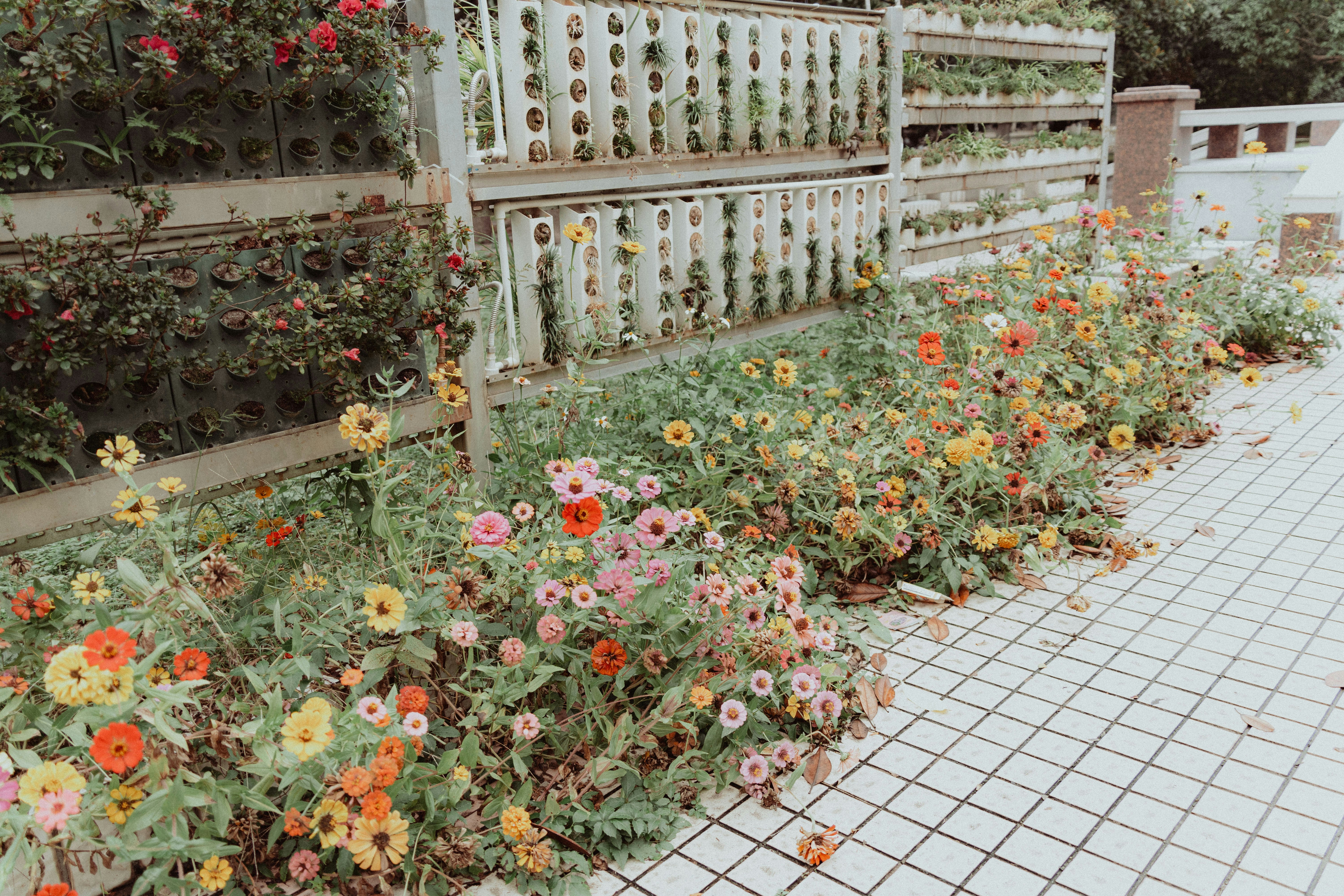 Photo by Patrick Shaun with Sony Alpha 7C