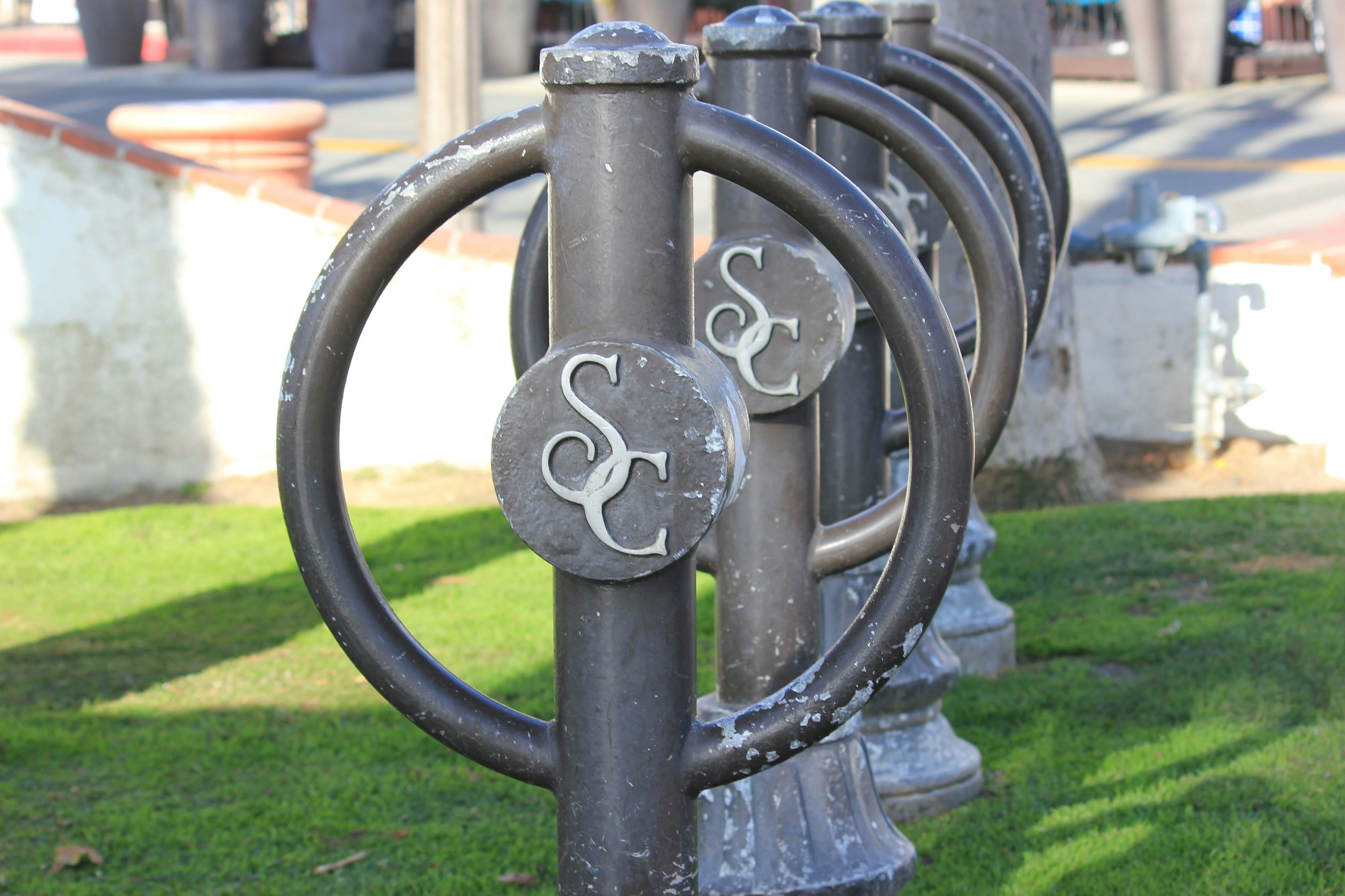 SC Emblem Rings: A Row of Park Post Sculptures Framing Sunlit Grass