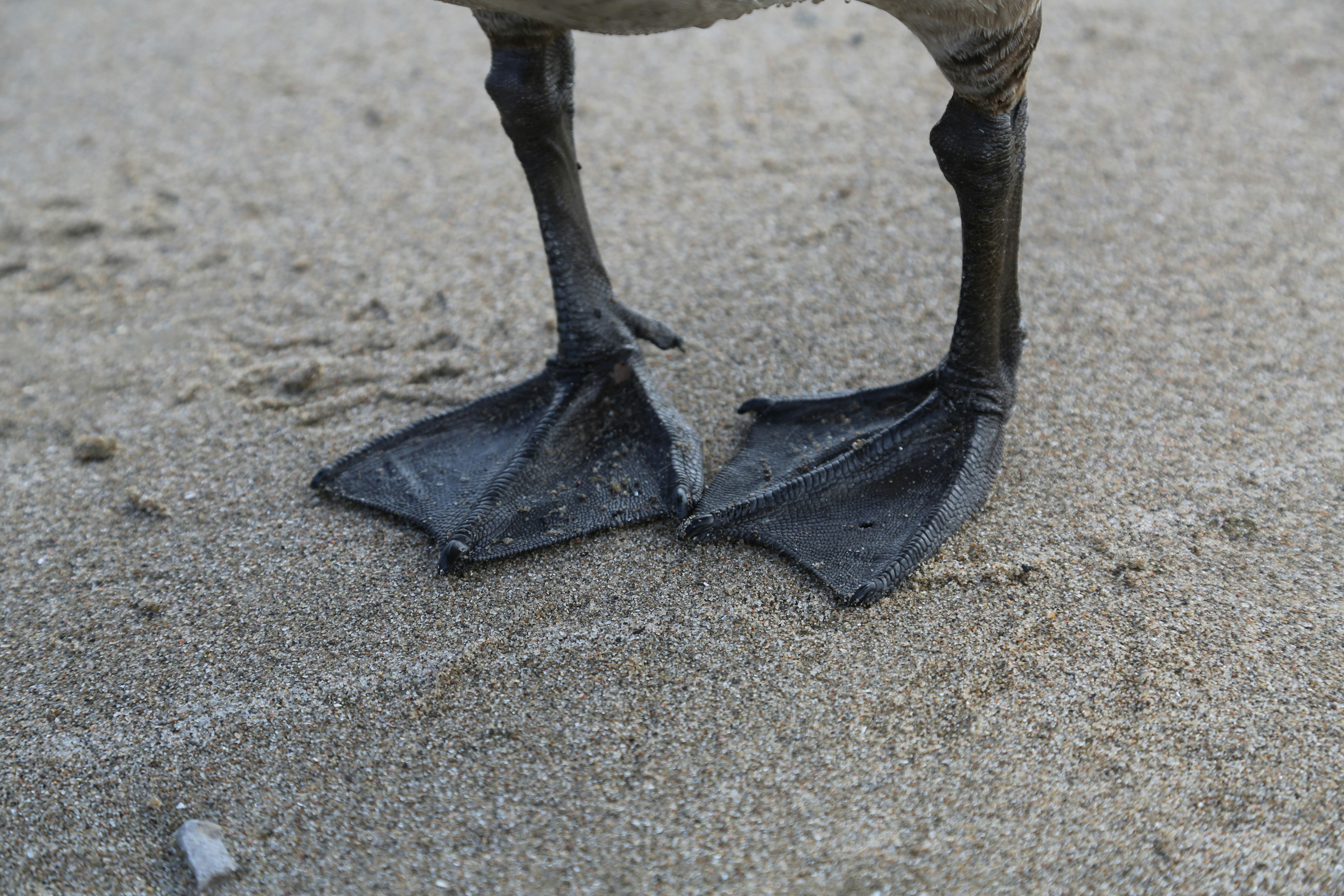 Photo by Sofia with Canon EOS 5D Mark III