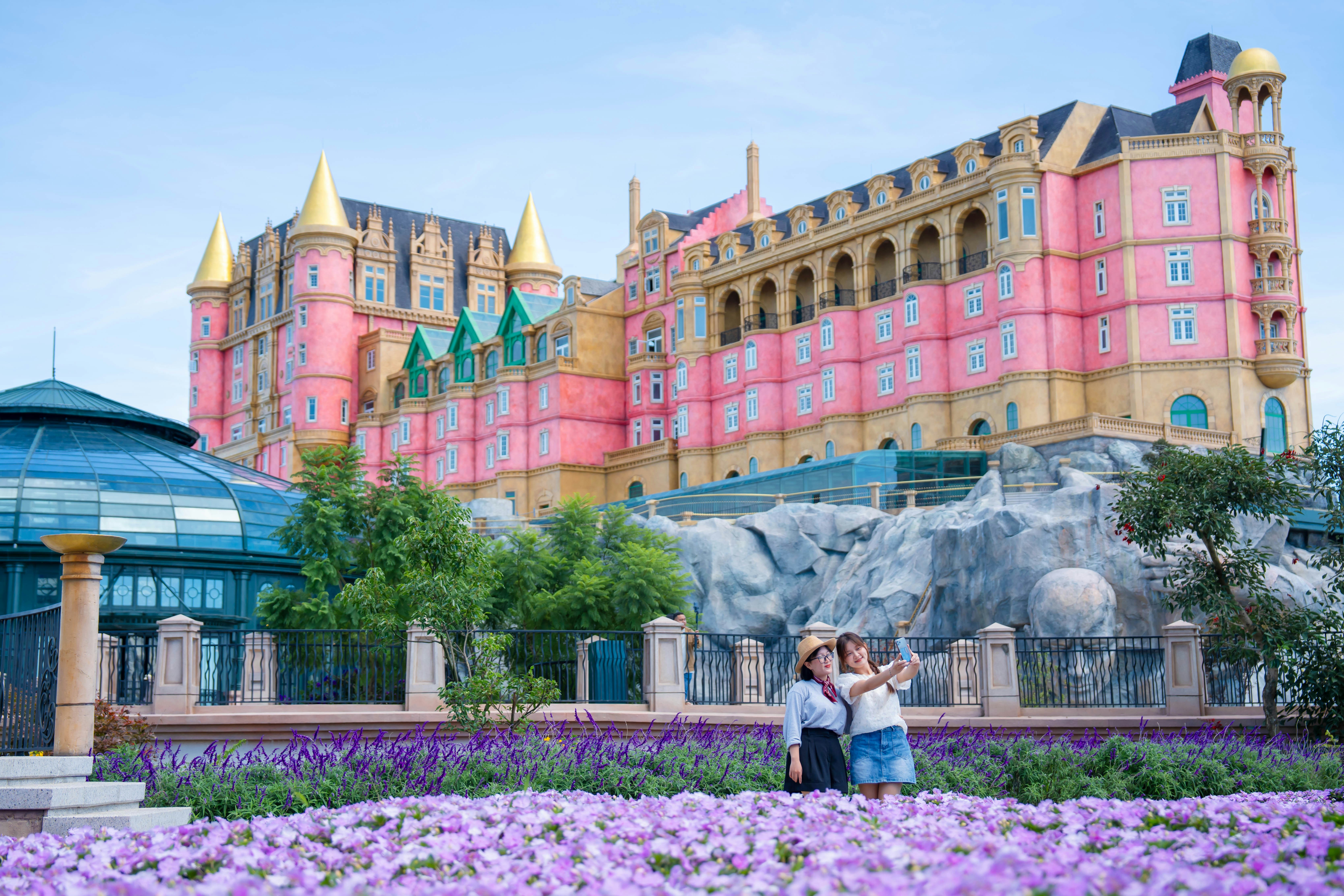 750+ Pink World Pictures | Download Free Images on Unsplash