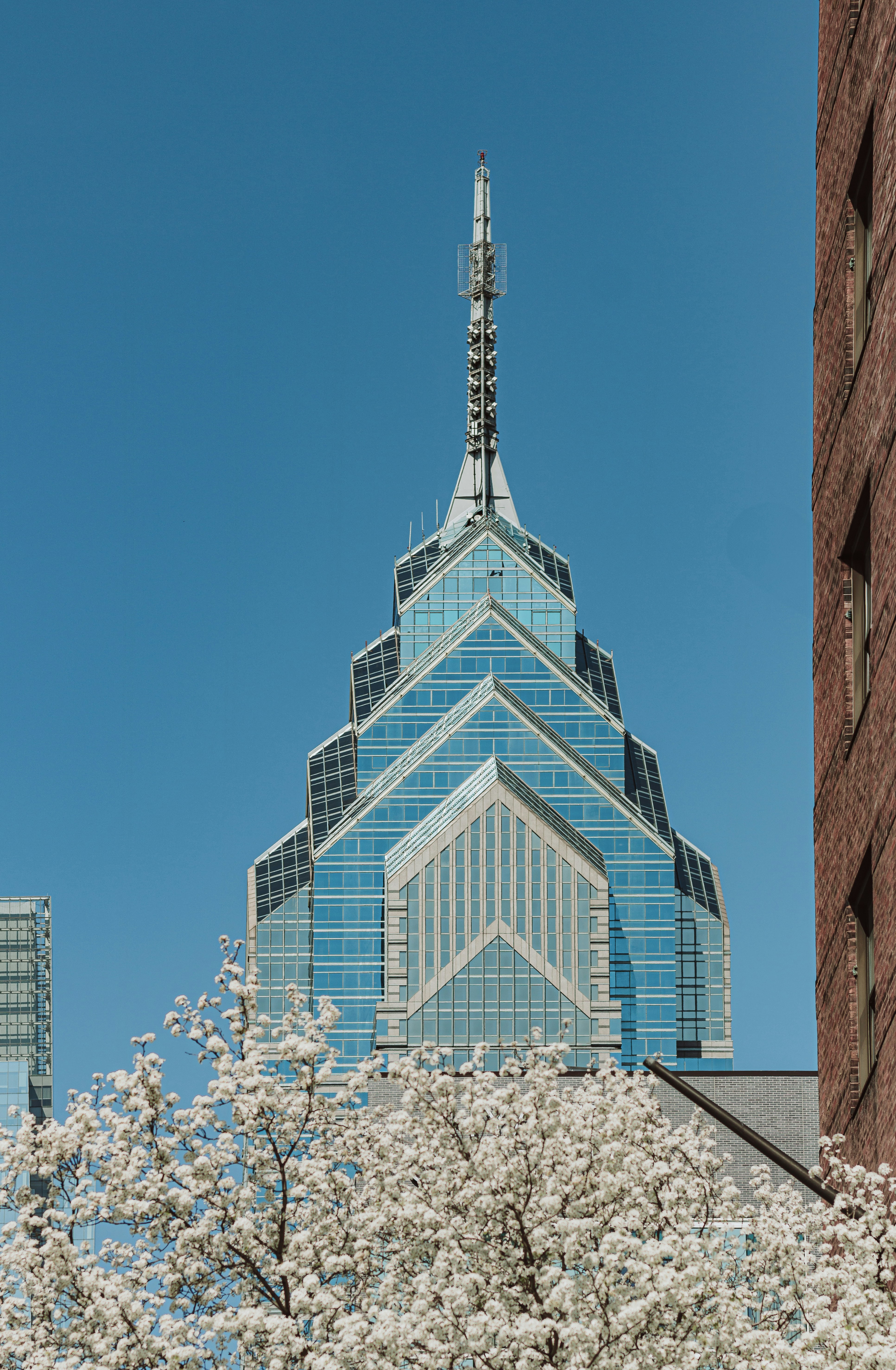 Crystal Pyramid Rising Through Spring: Glass Facade Framed by Blossoms