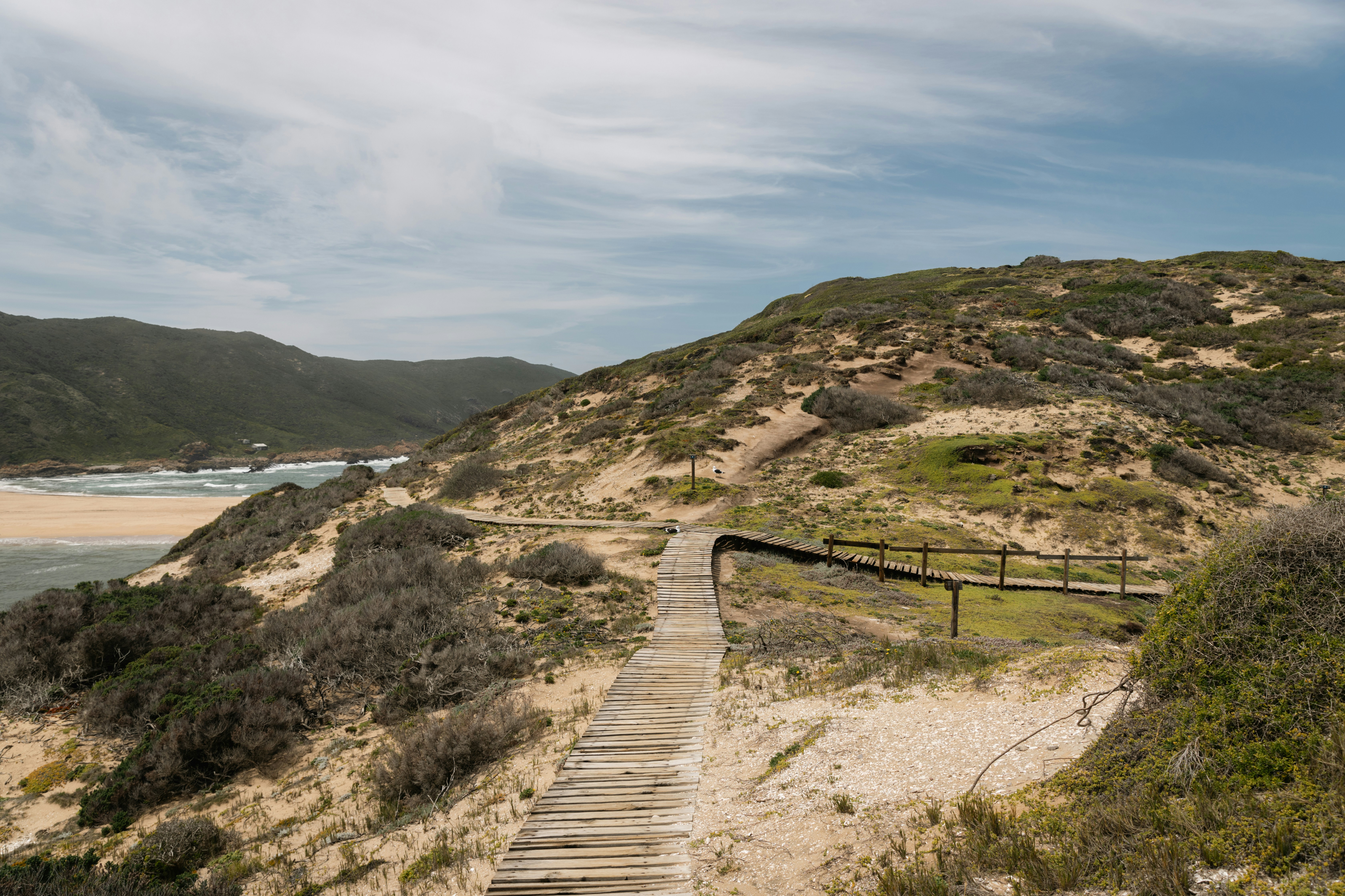 Boardwalk to the Quiet Sea: A Wind-Swept Coastal Walk