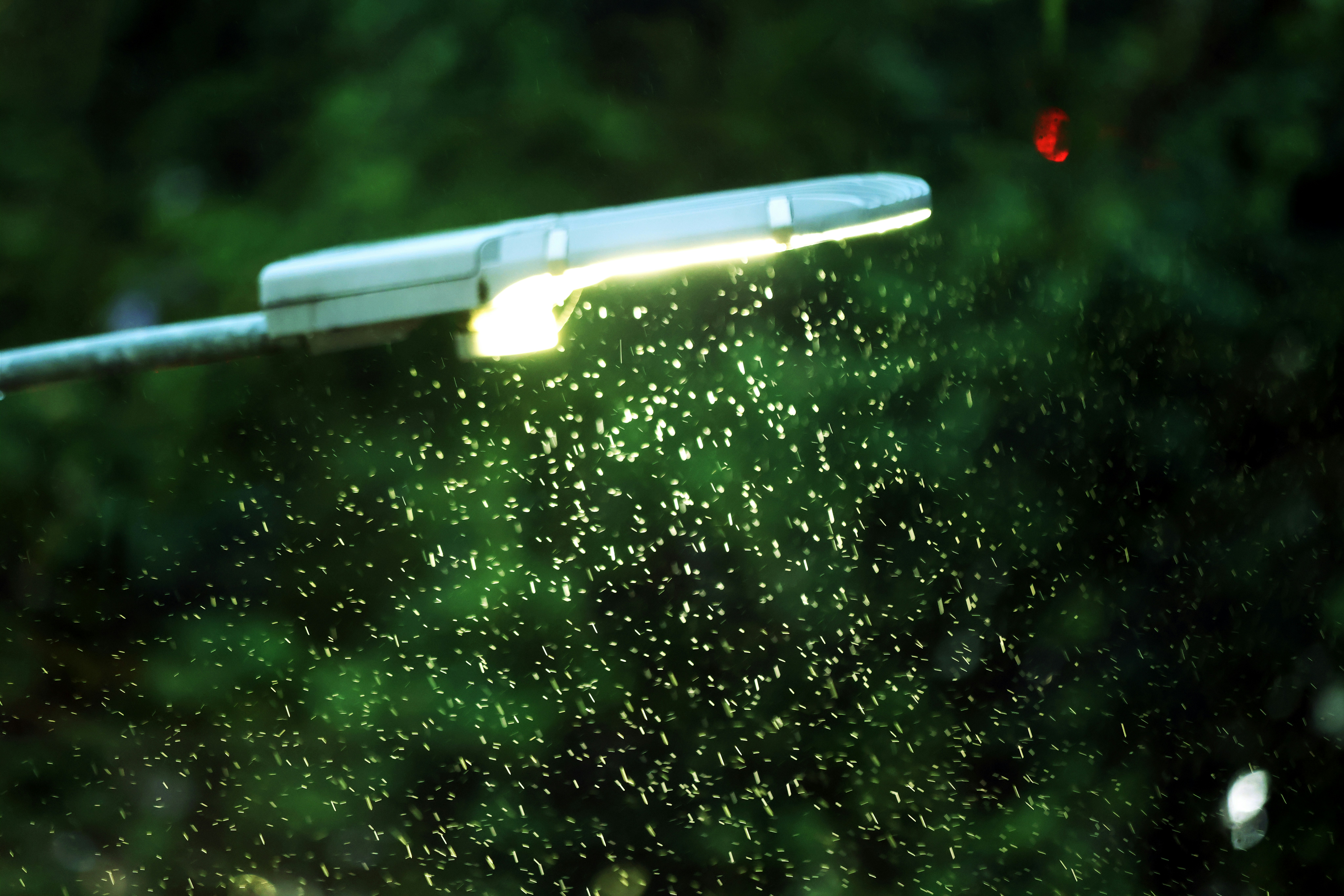 Arc of Green Mist: Focused Droplets from a Garden Sprinkler