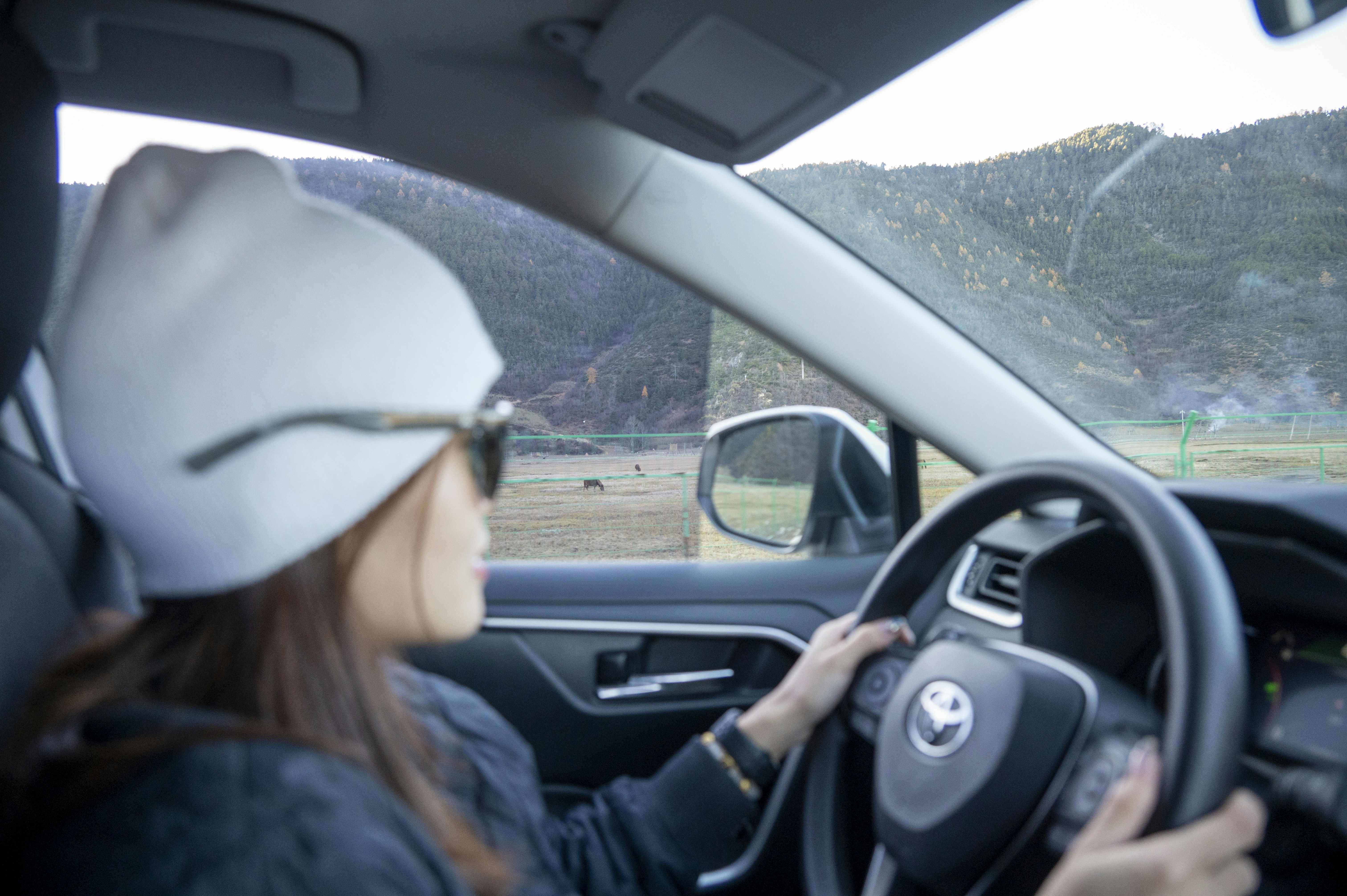Steering into the Scenic Drive: A softly focused driver profile