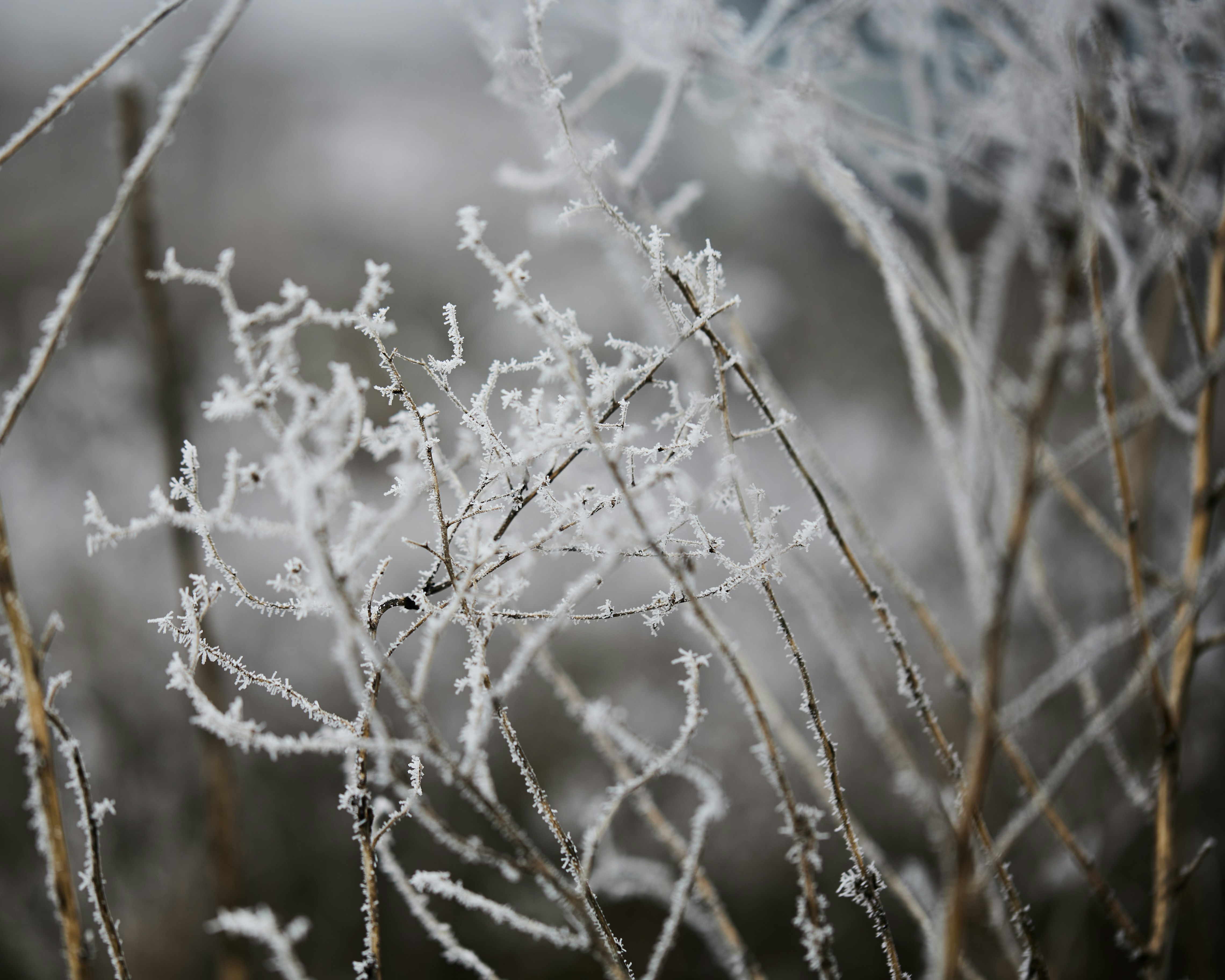 #day #landscape #nature #no people #outdoors #sky #tranquil