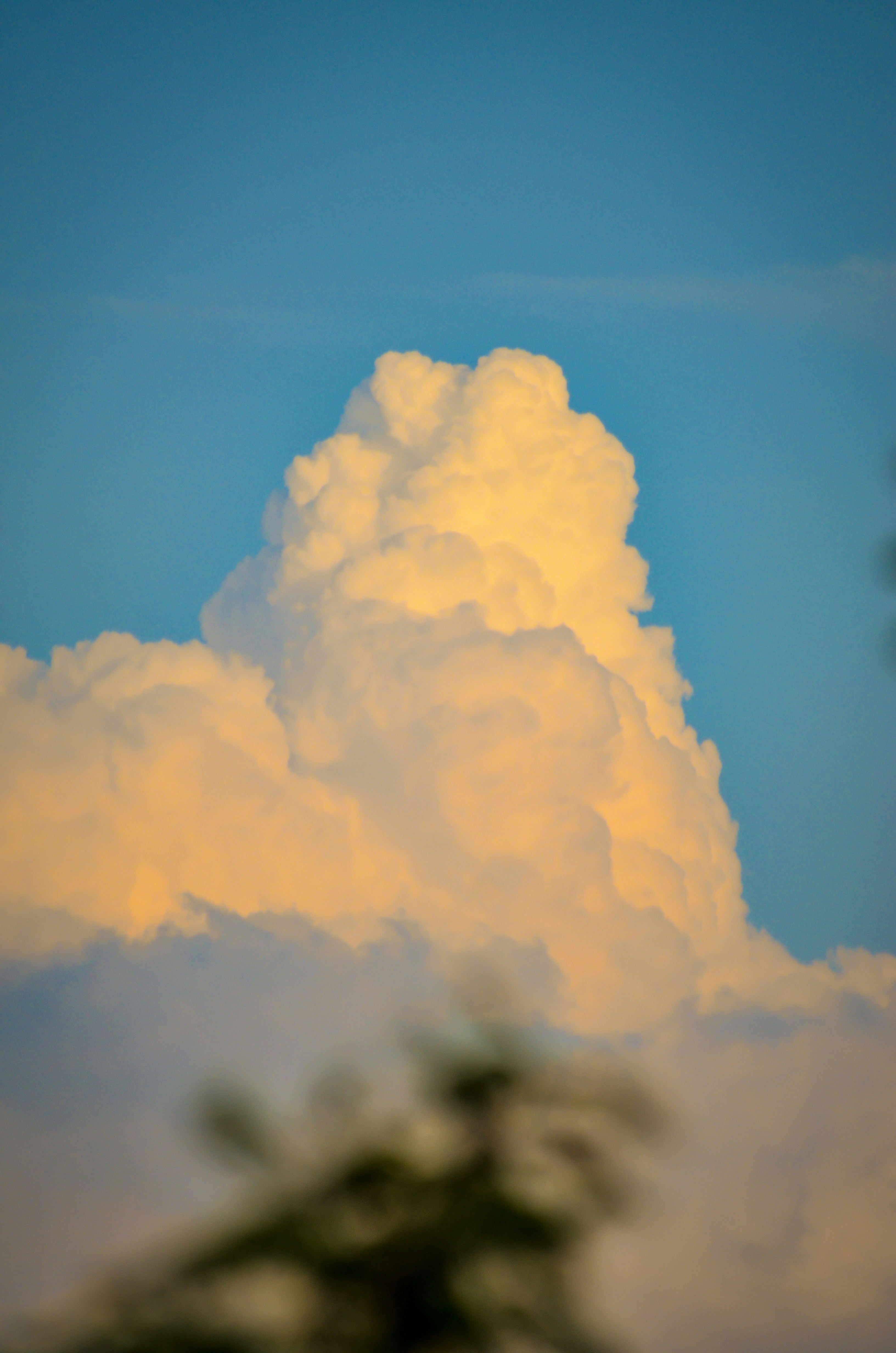 Sunlit Column: A Puffy Cloud Tower against a Clear Sky